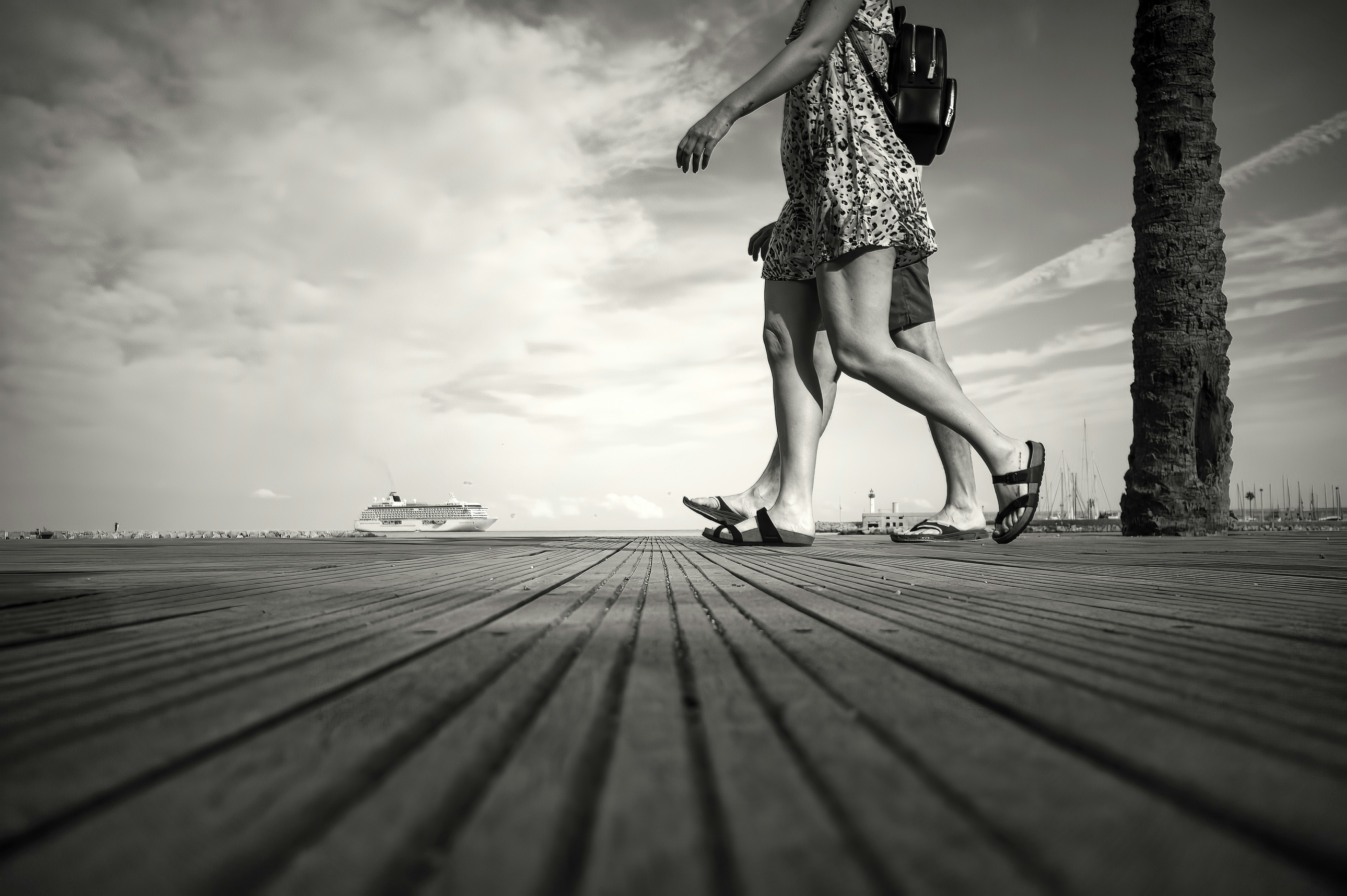 Stride of Serenity: A Stroll by the Shore