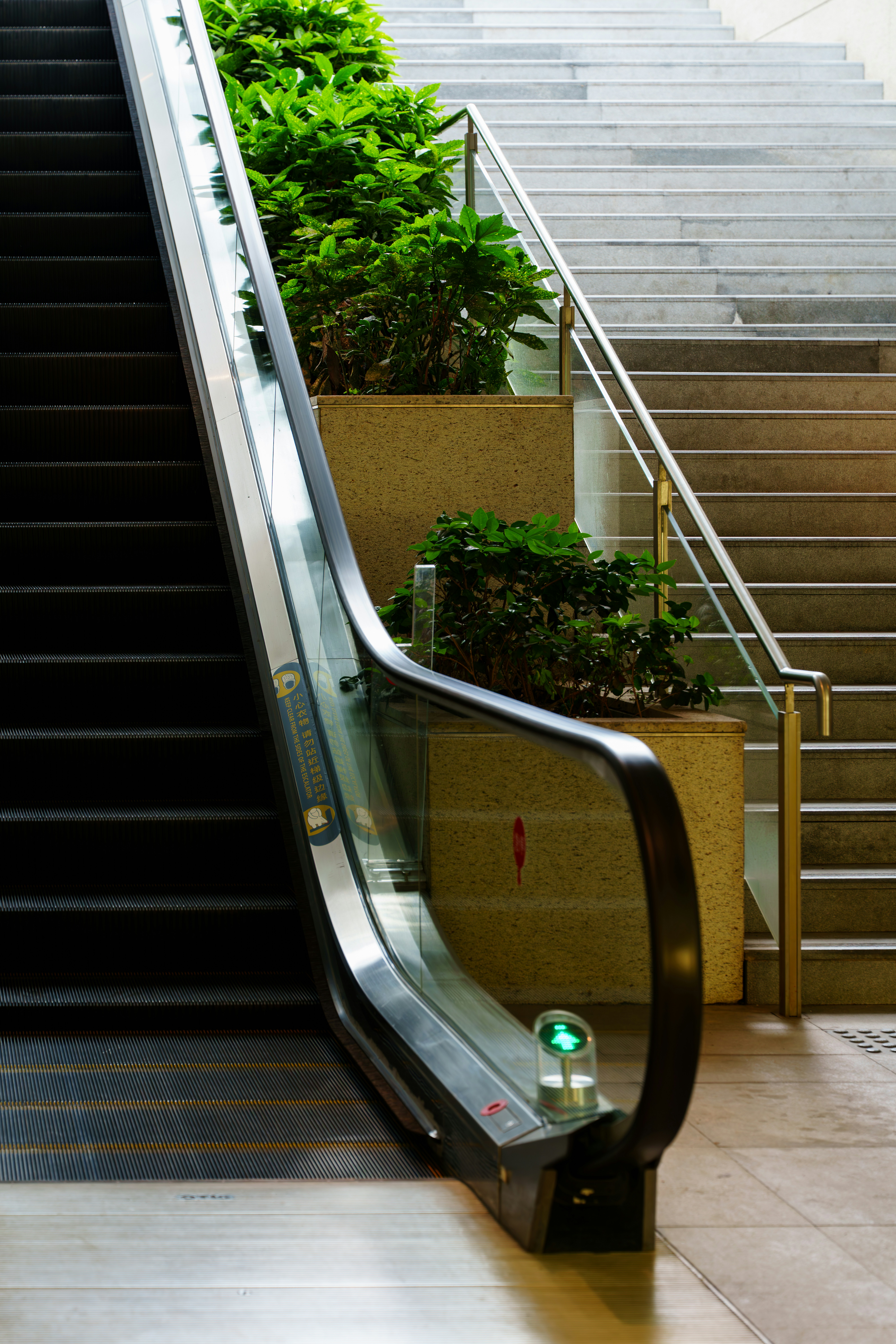 Escalator next to staircase | Escalator and stairs alongside greenery.