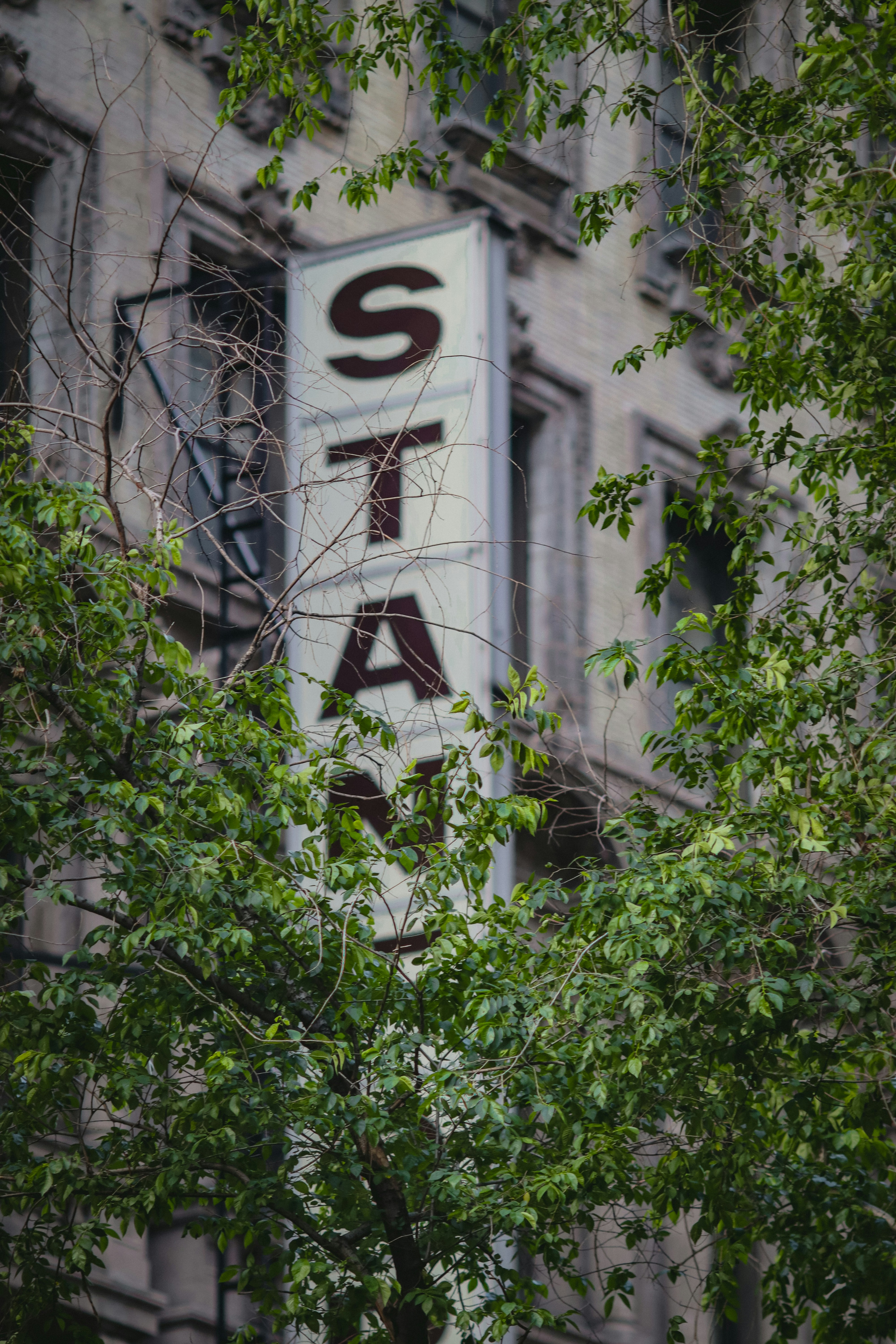 "sign says "stan" on a building with foliage." photo – Free Building ...