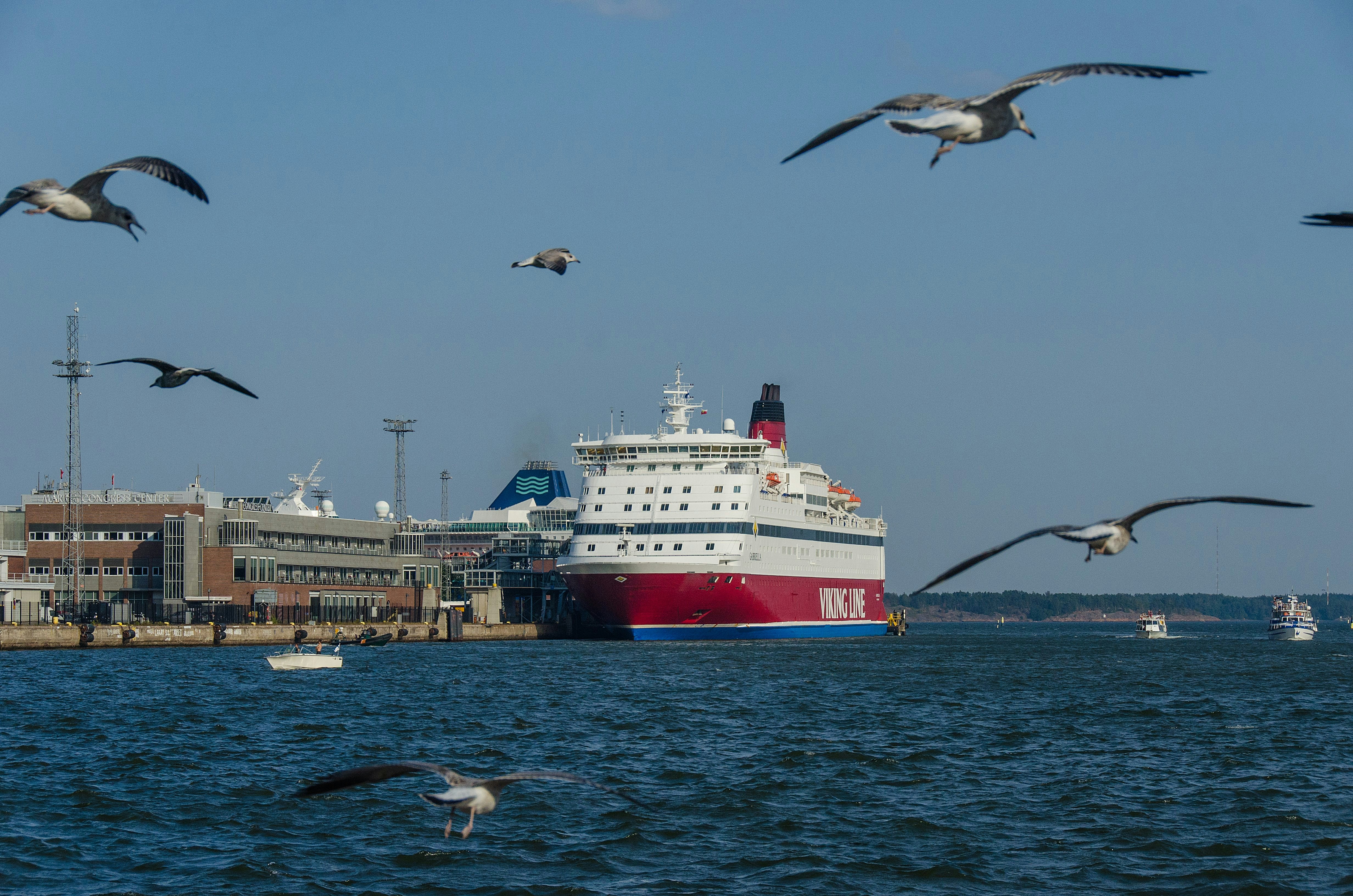 Dockside Sentinel: Red-Hulled Ferry Framed by a Skyful of Seagulls