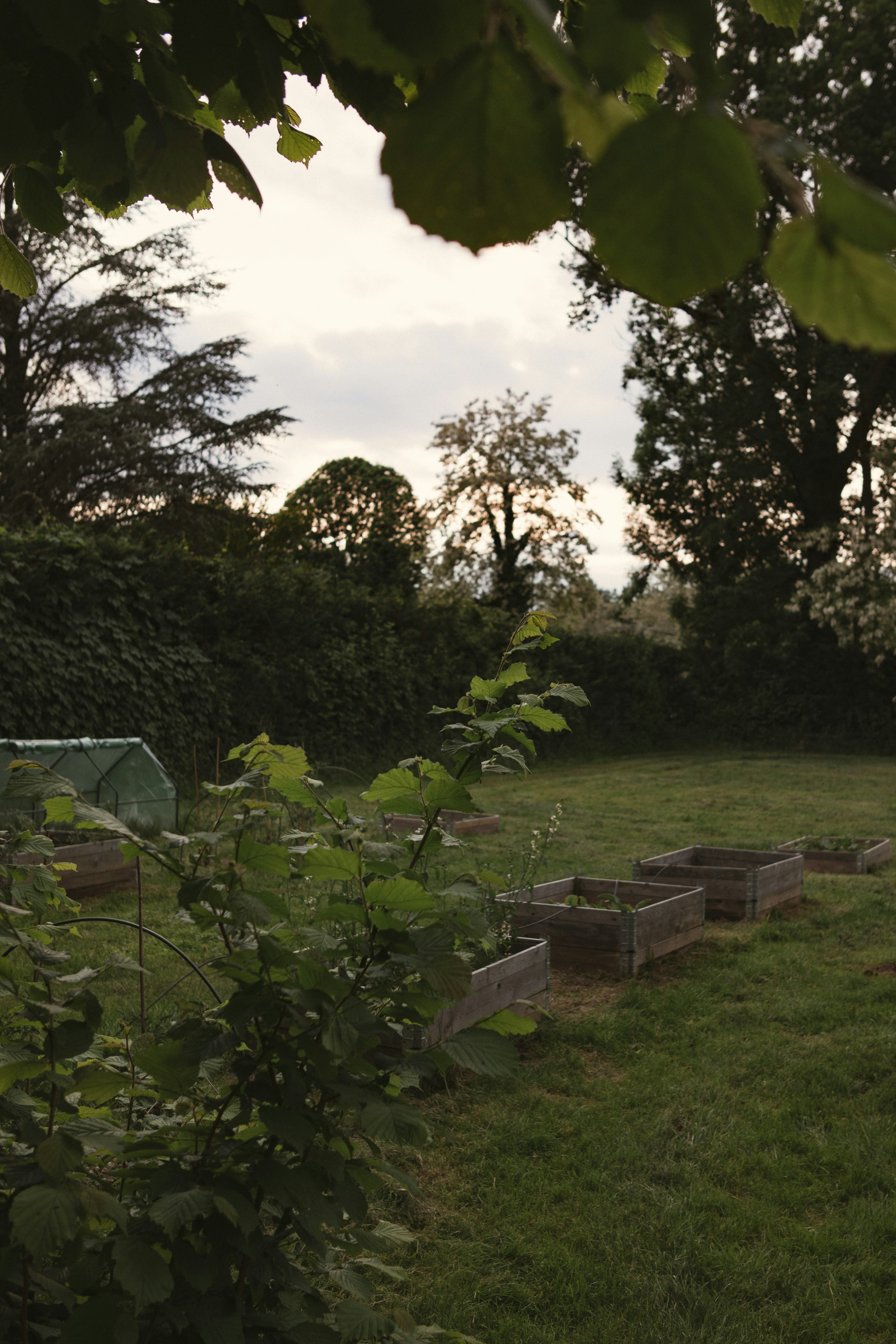 💛 Follow my journey on Instagram: @i_am_simoesse