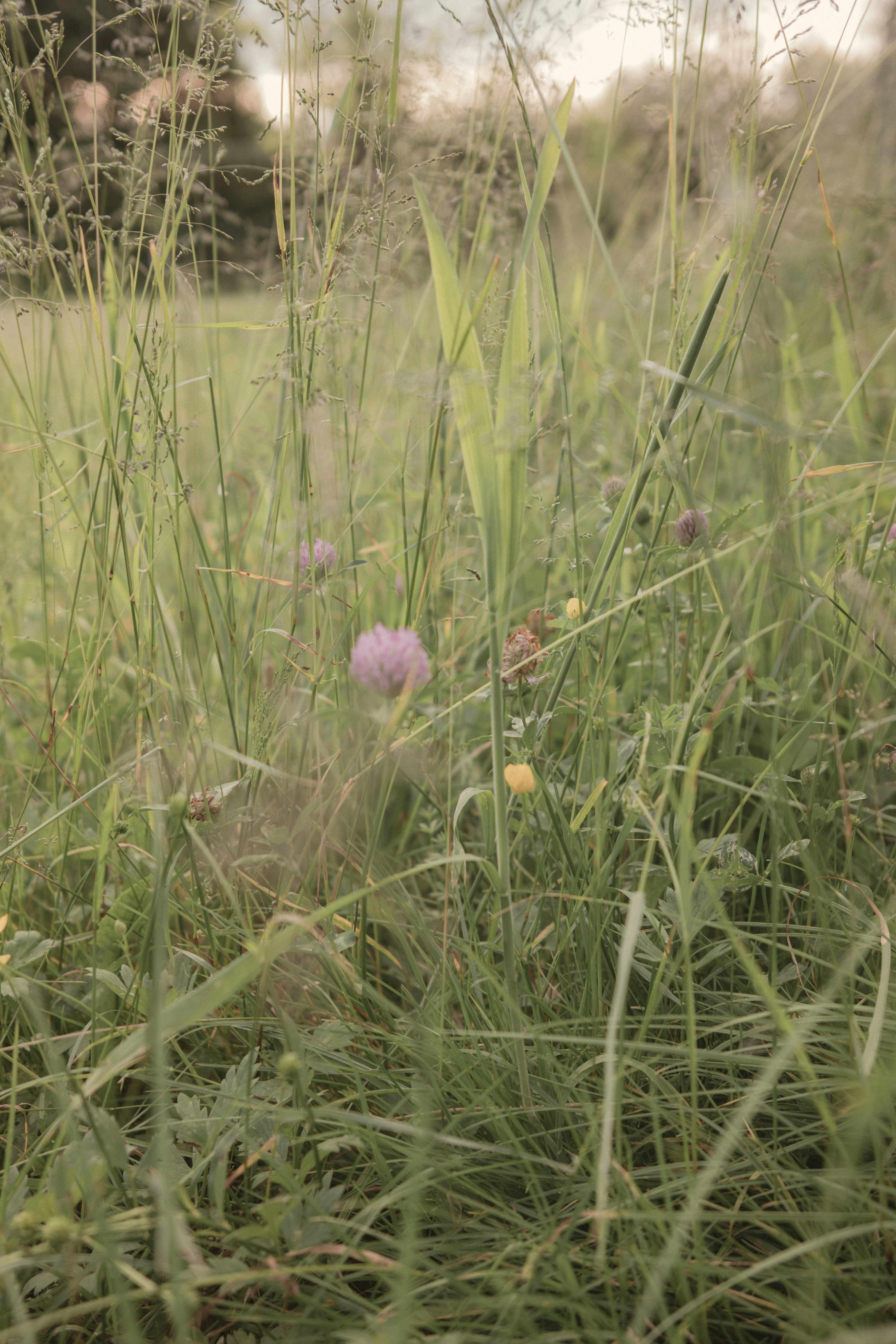 💛 Follow my journey on Instagram: @i_am_simoesse