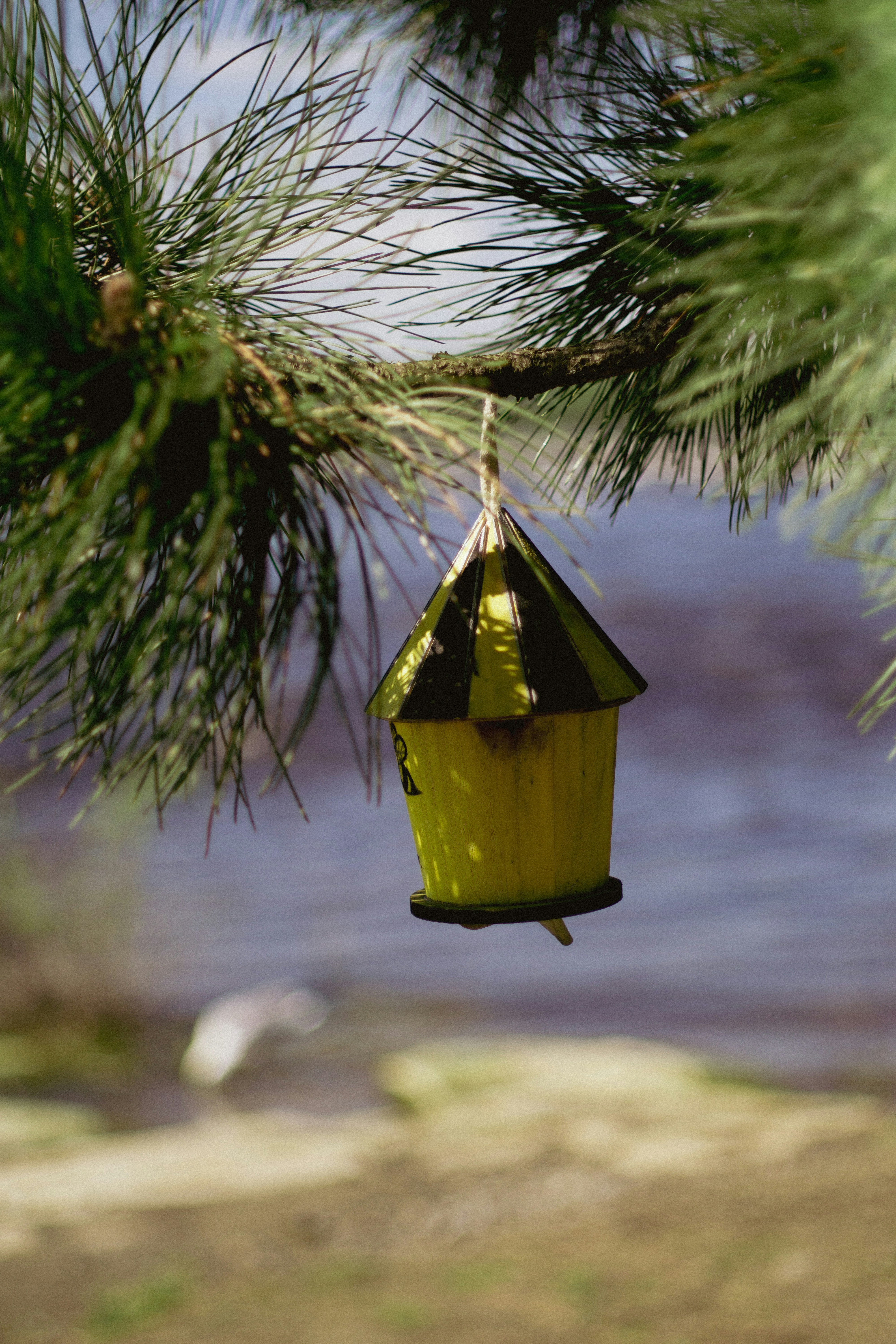 Hanging Yellow Birdhouse in Pine Shade