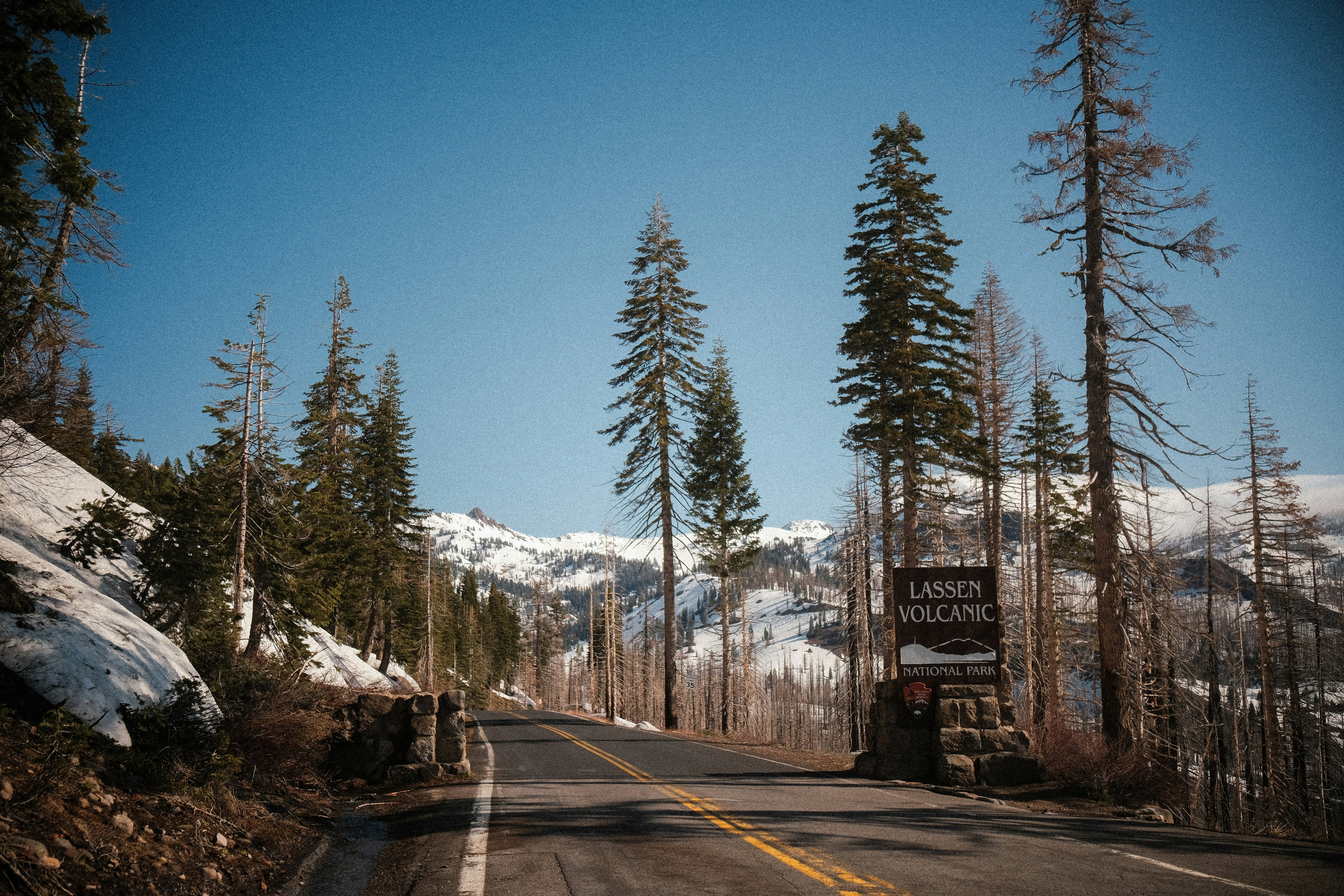 Lassen's Snowbound Corridor: A Quiet Road Between Pines and Snow-Capped Peaks