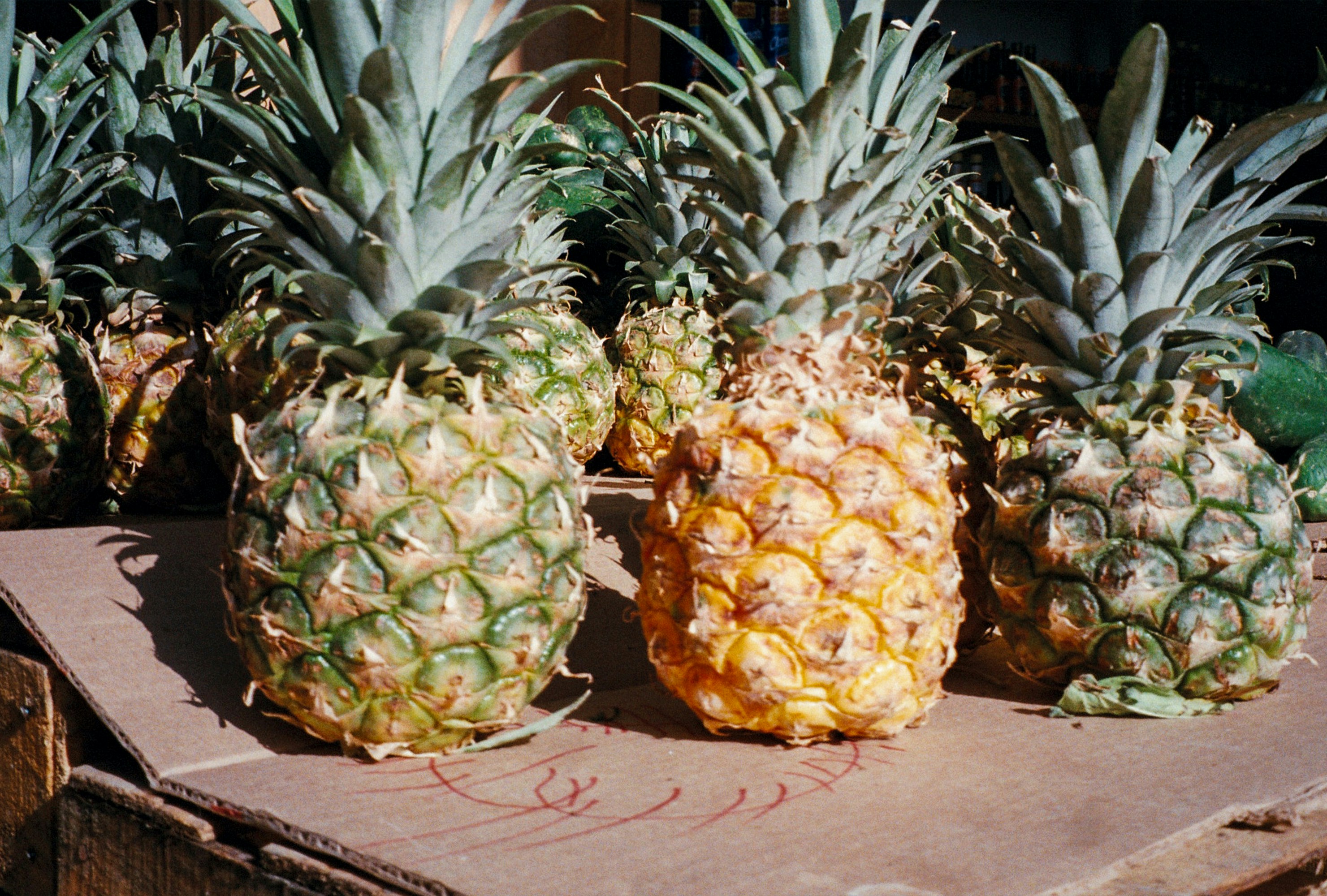 Las piñas maduras están expuestas y listas. foto – Imagen de De color ...