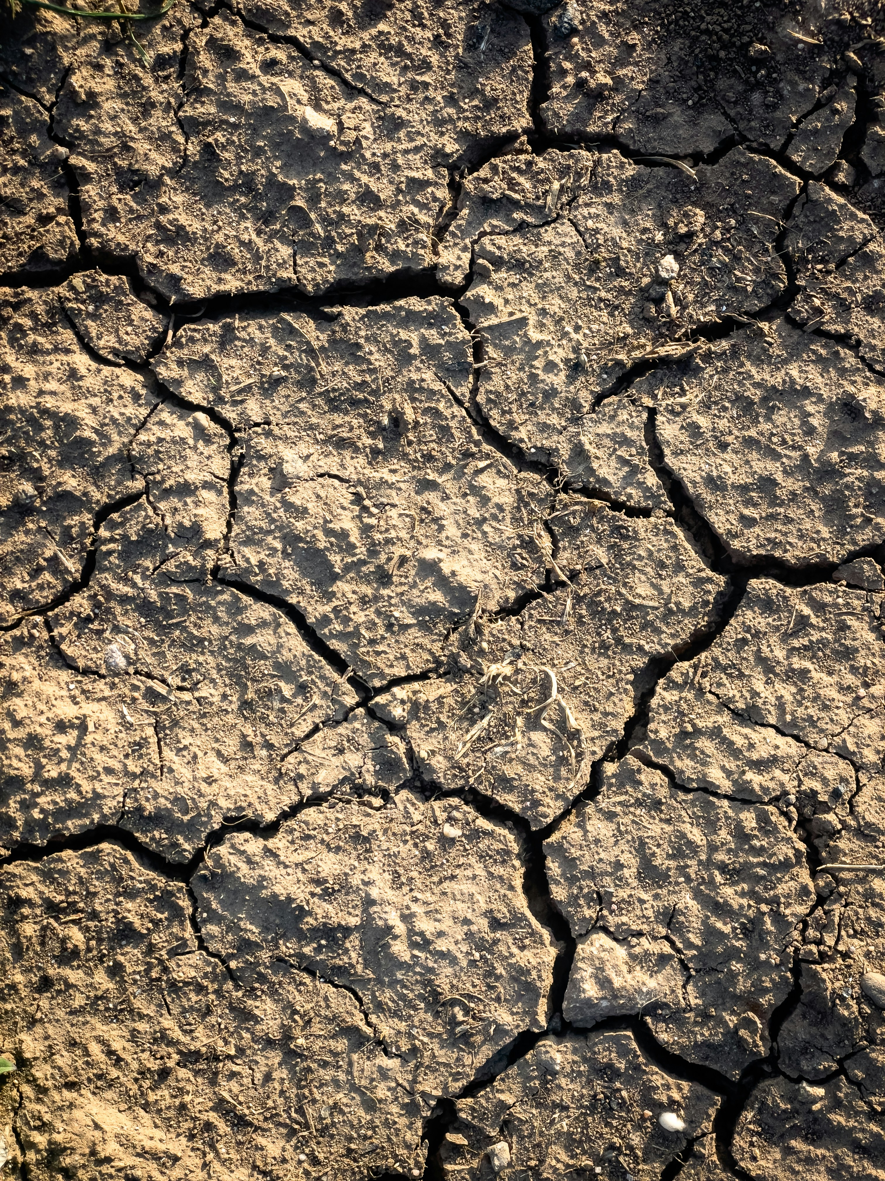 Cracked soil revealing the harsh effects of drought, showcasing nature's resilience and fragility.