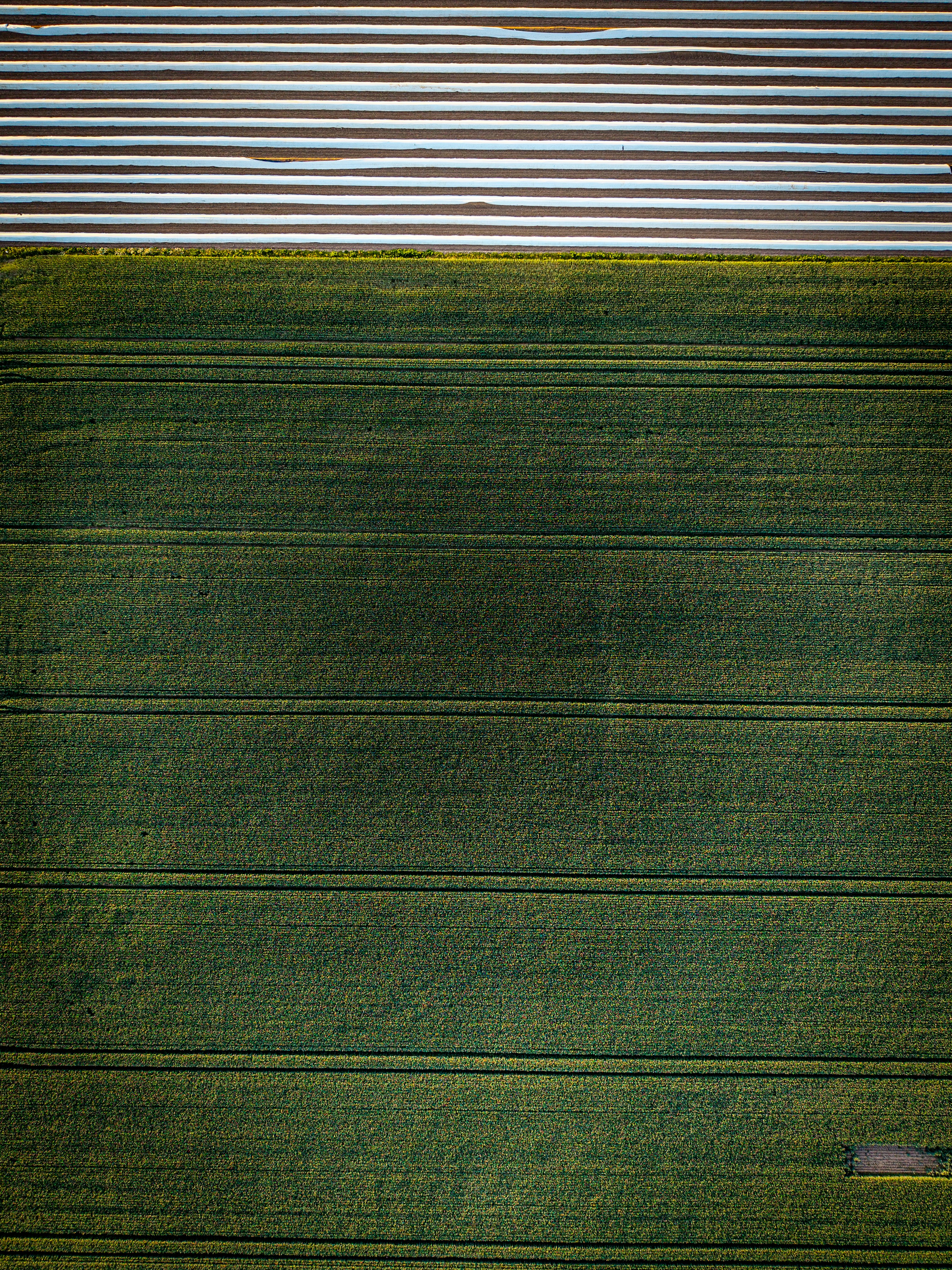 Aerial view showcasing meticulously arranged agricultural fields with contrasting textures and colors. The horizon features a subtle gradient of gray tones.