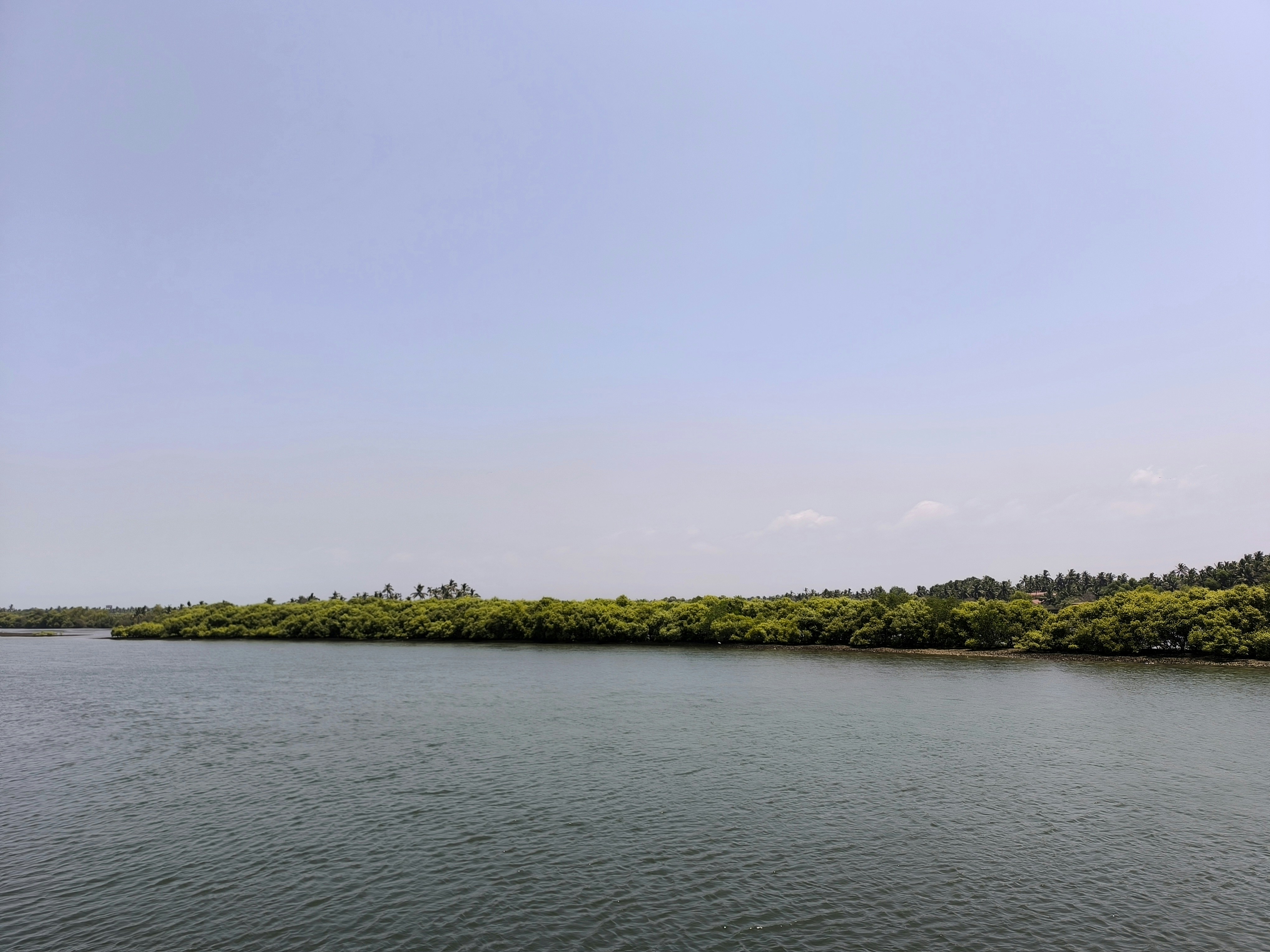Serene view of a river bordered by lush greenery under a clear sky.