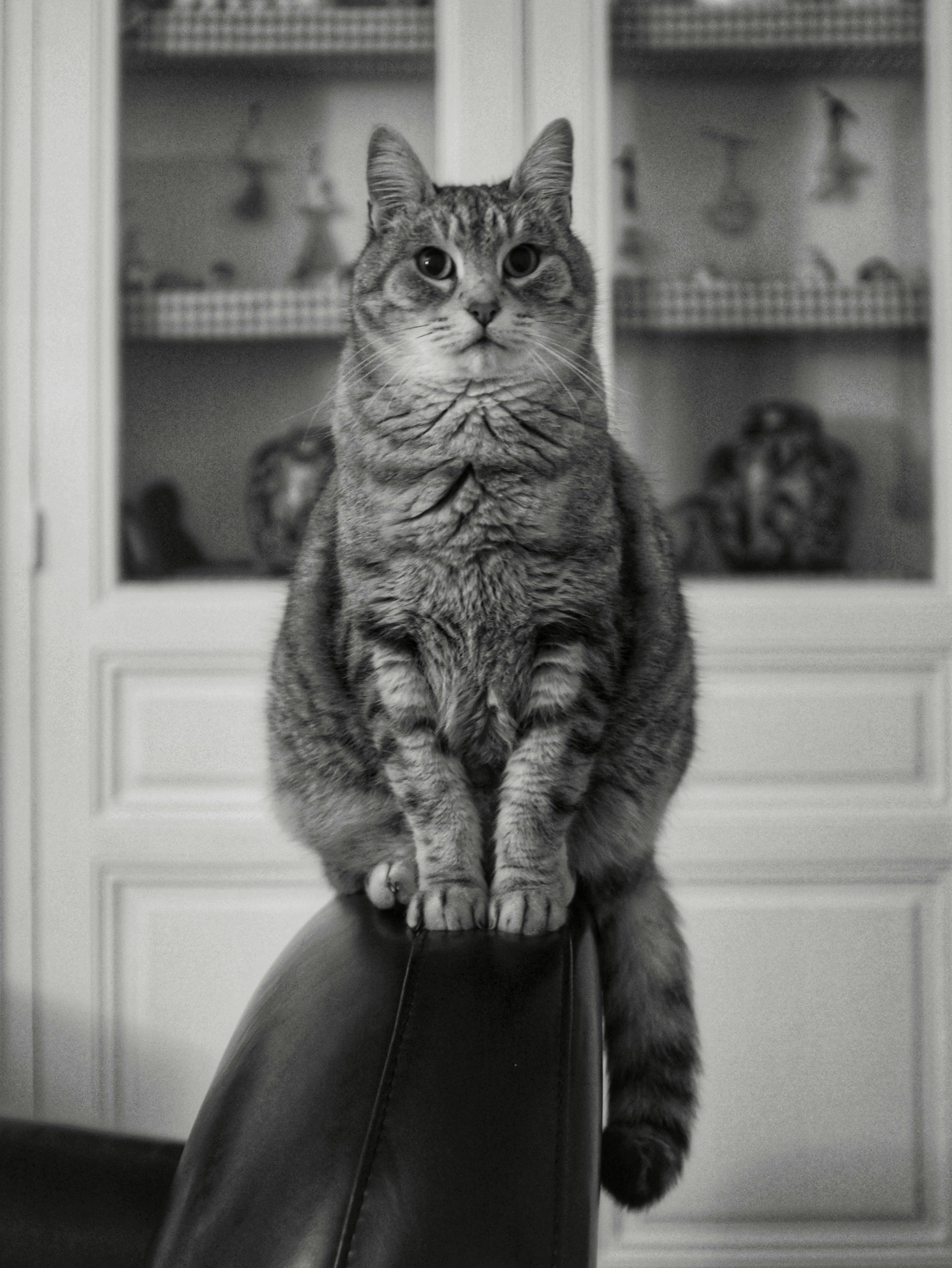 Photo by Umanoide with Fujifilm X100