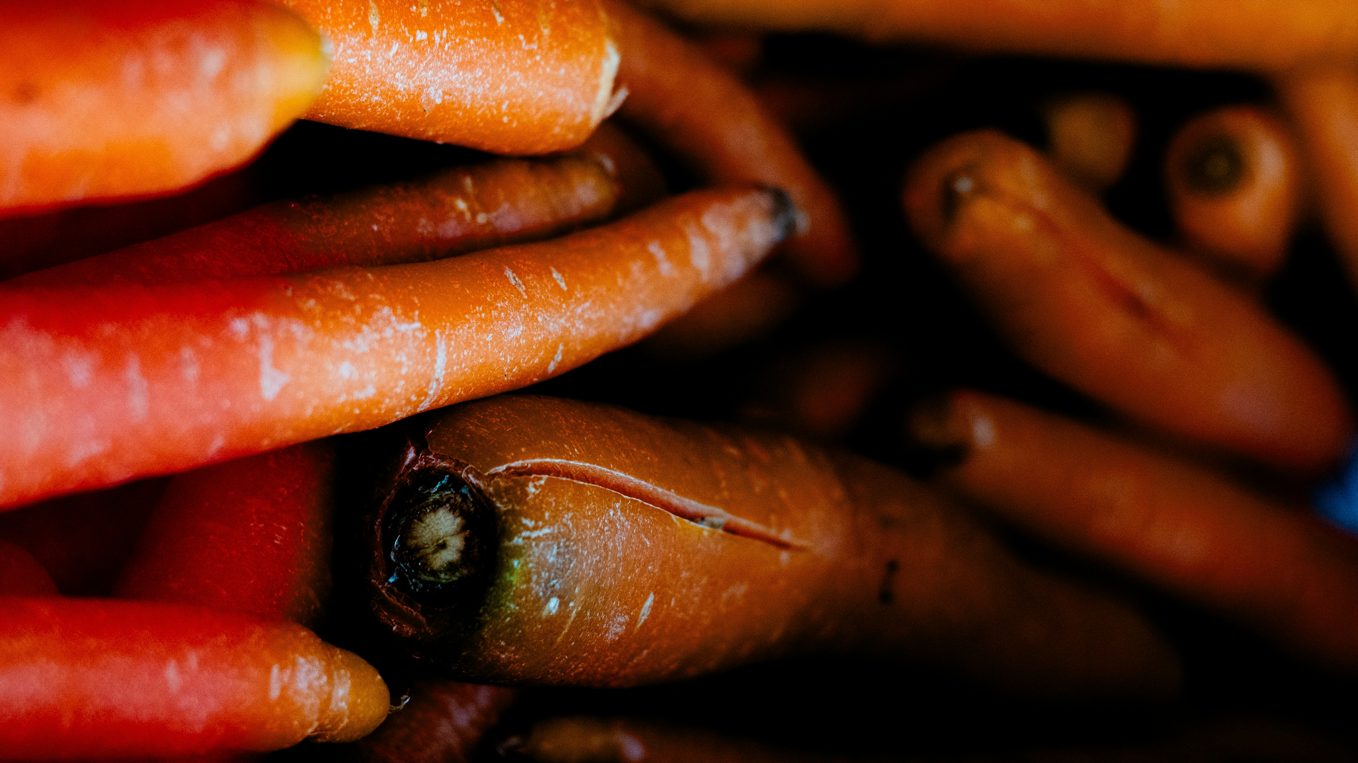 Photo by luca romano with Nikon Z30