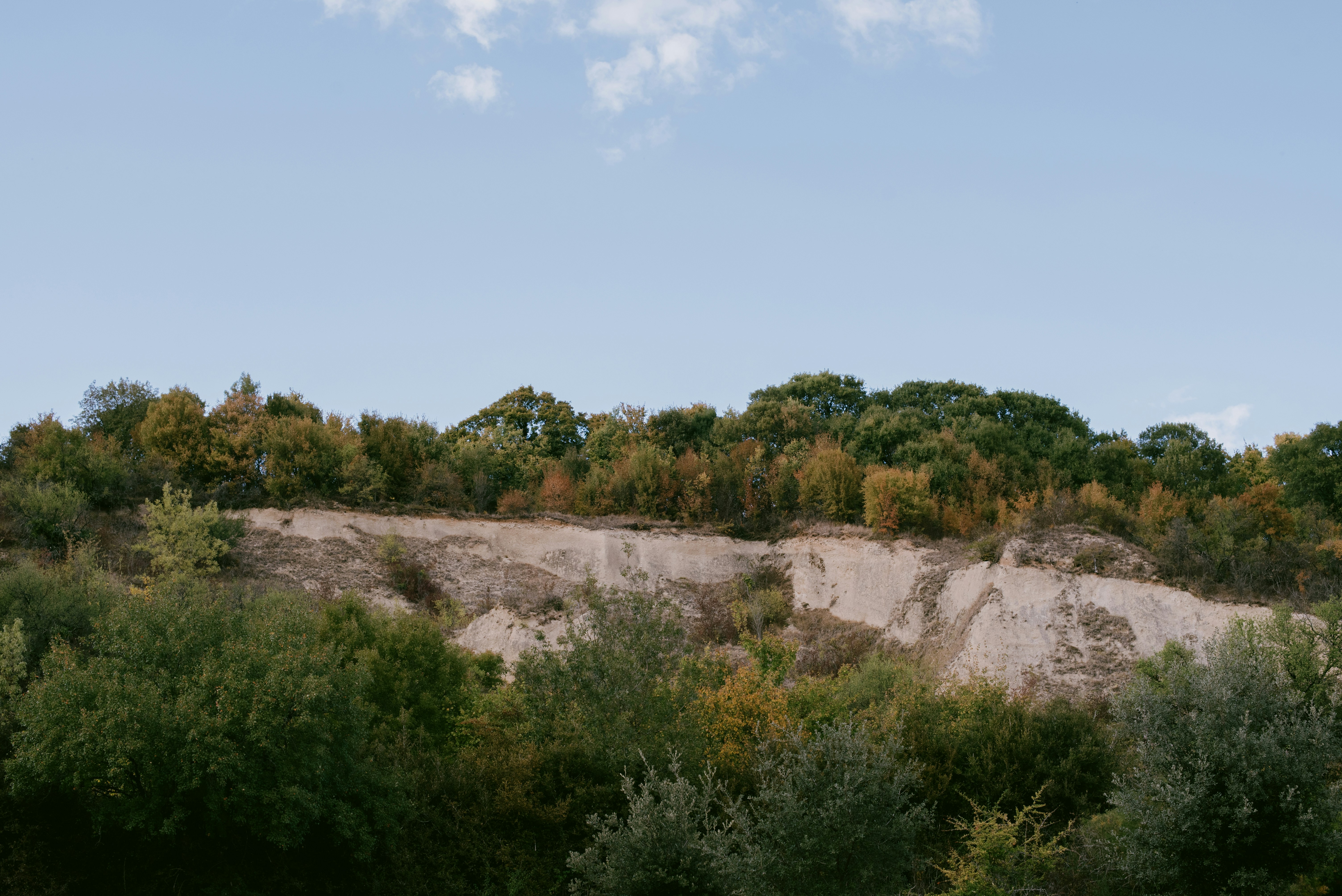 Chalk Ridge at the Edge of Autumn Canopy