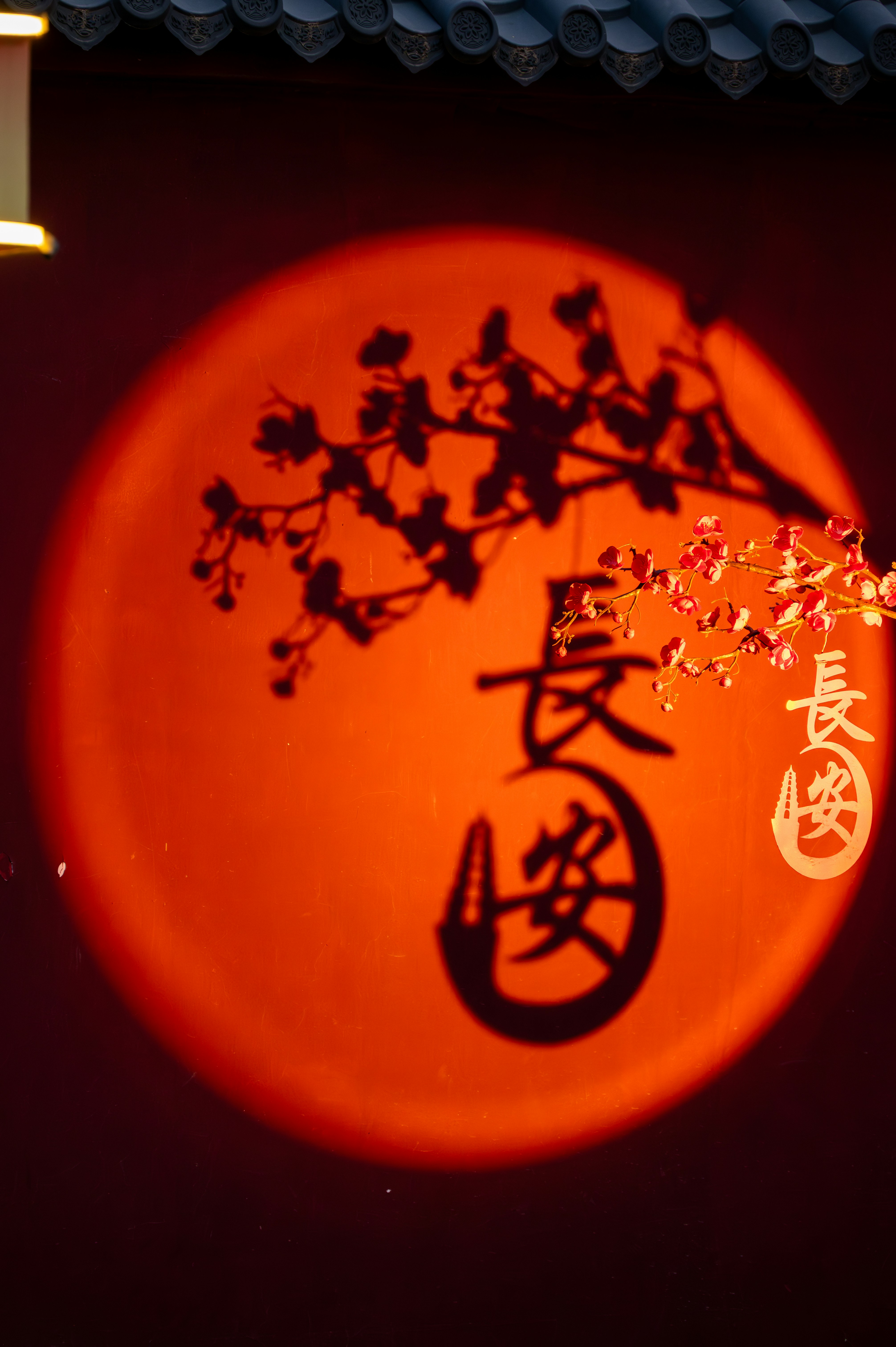 Red Lantern Emblem: Shadowed Blossoms and Calligraphy