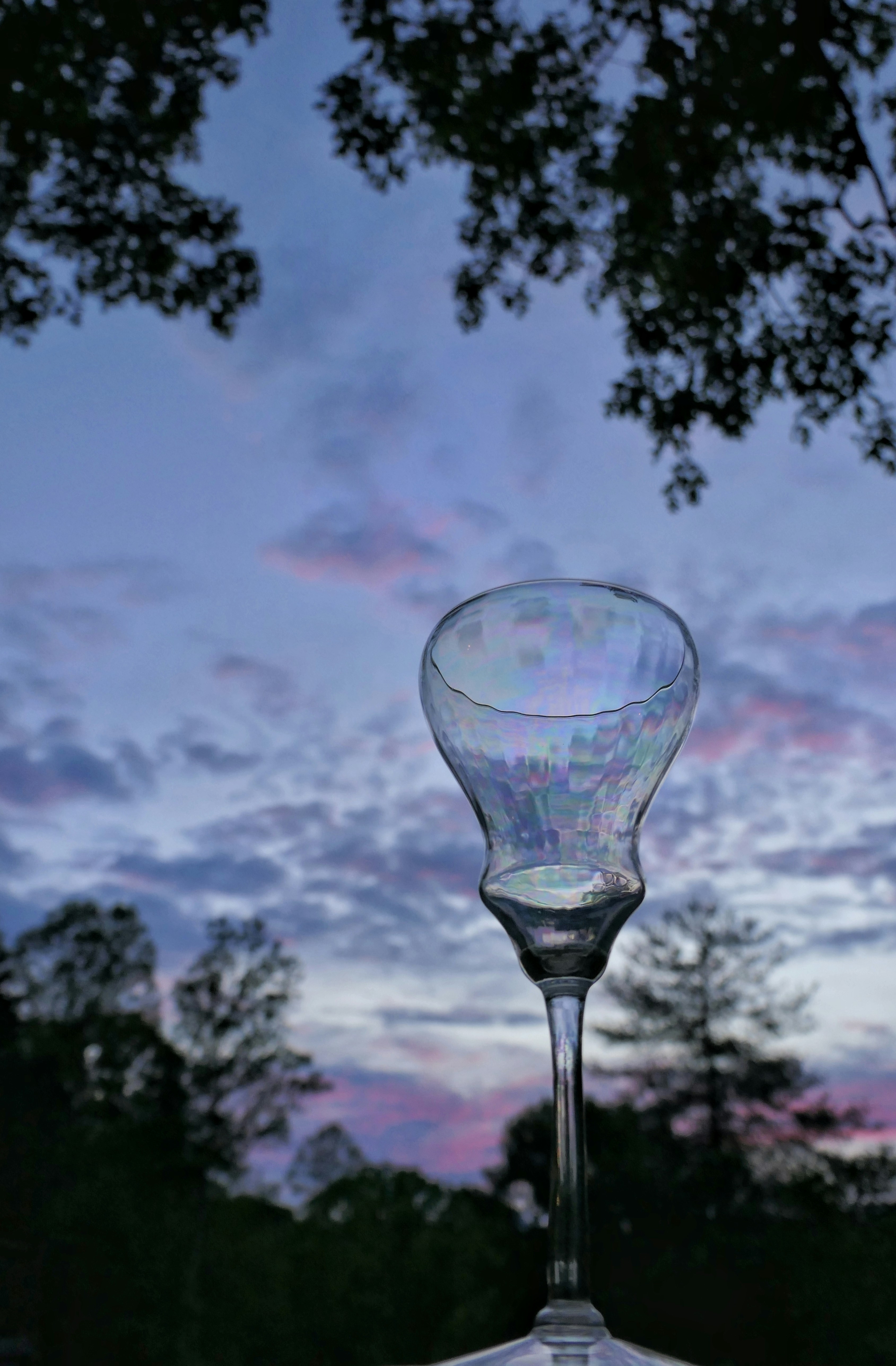 Reflections of Twilight: A Glass Perspective