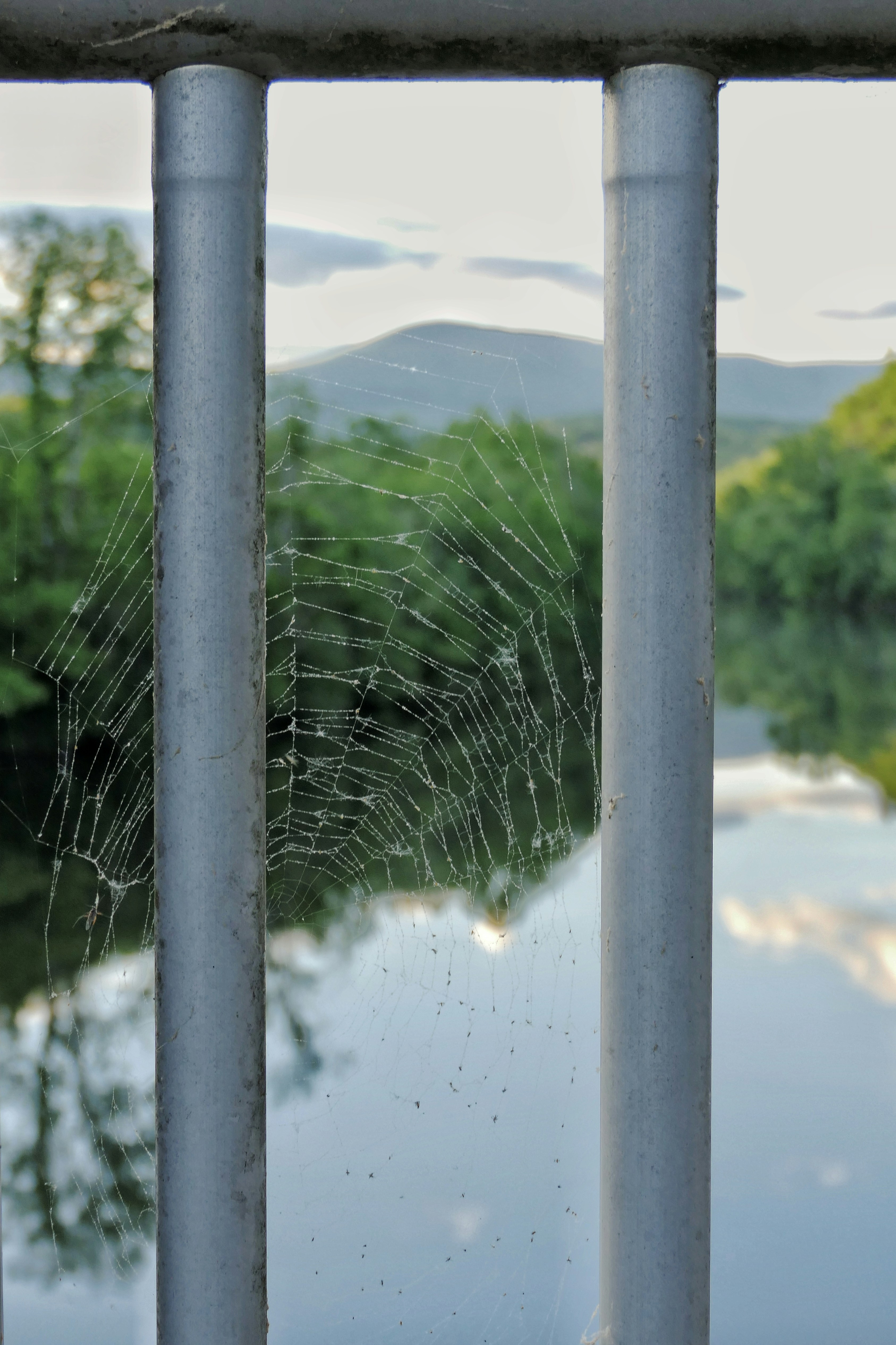 Dew-Kissed Web Framed by Rails Over a Quiet River