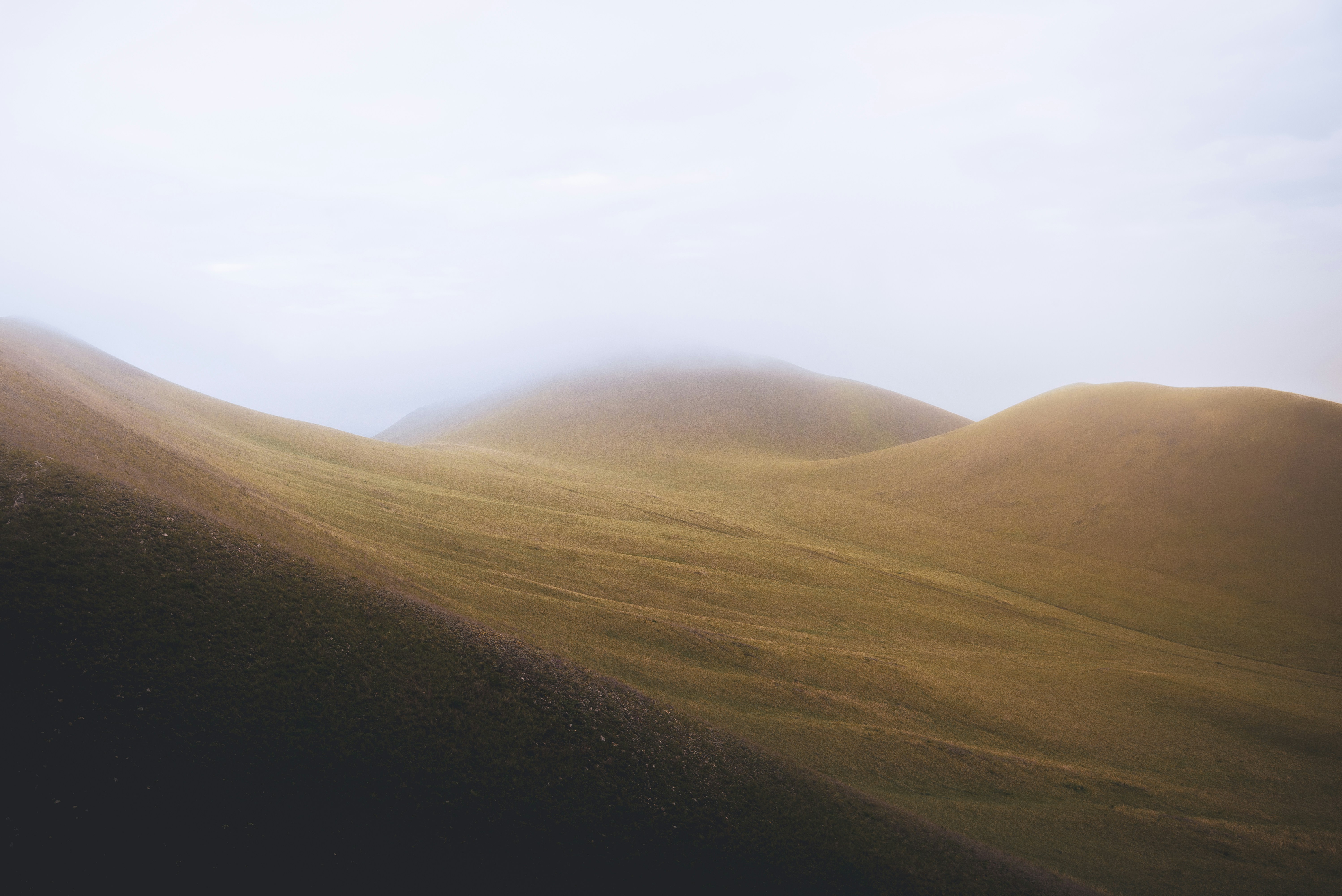 Soft, undulating hills shrouded in mist, creating an ethereal landscape that evokes tranquility.