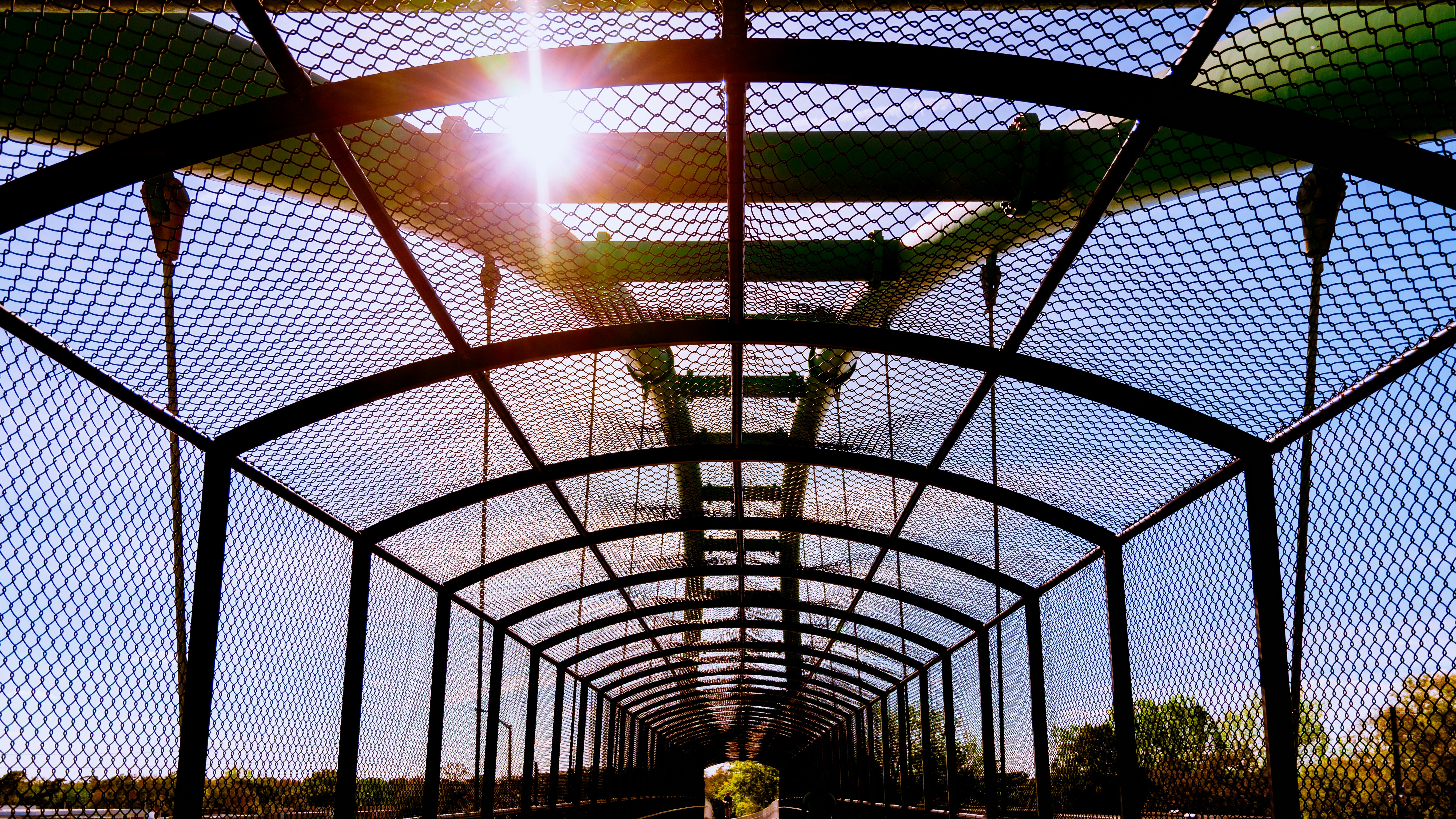 Photo by Leslie Gray Photography with Nikon D7200