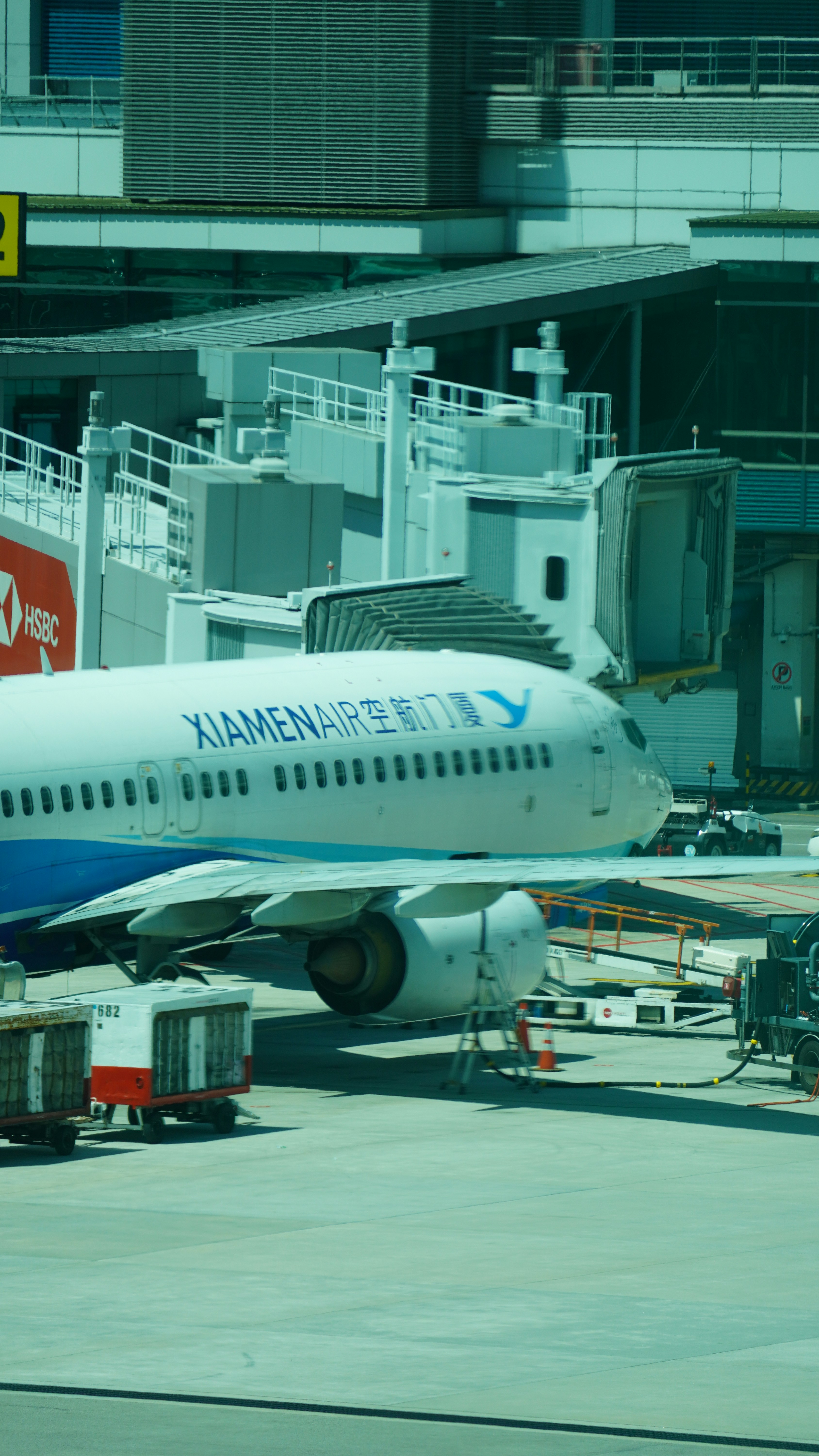 Grounded Giant: A Close-Up of XiamenAir's Aircraft