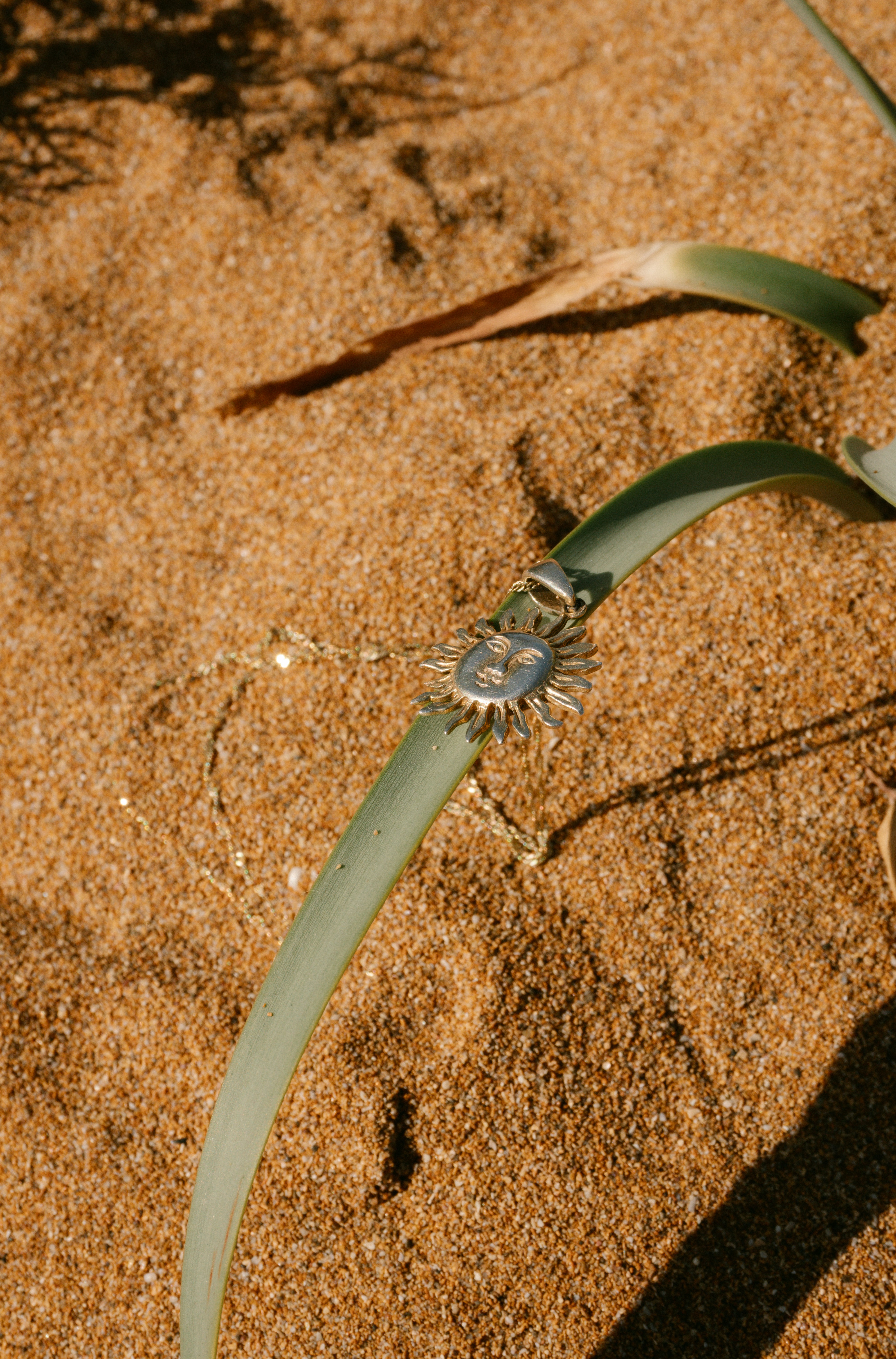 Desert Micro-Gear on a Curved Green Blade
