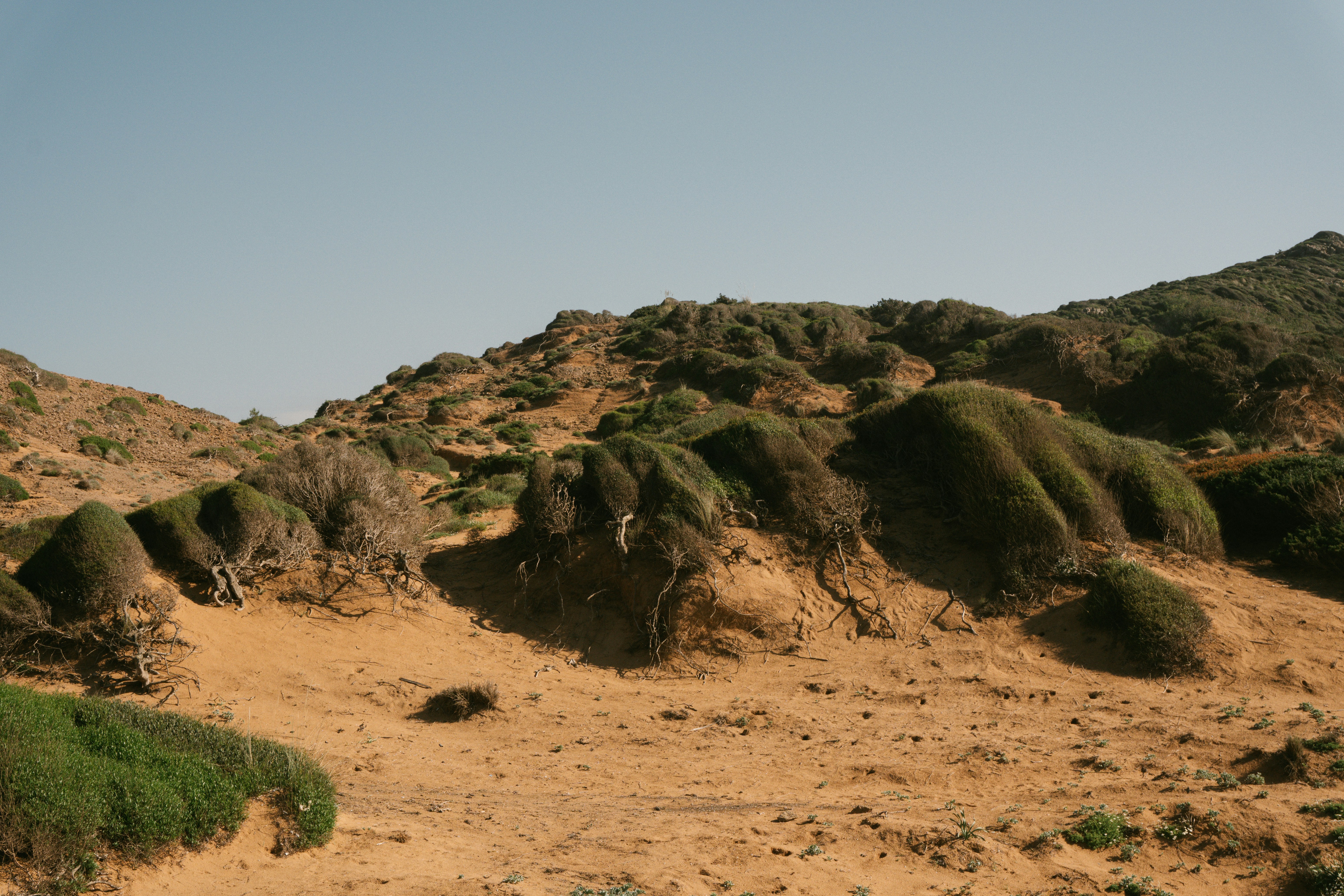 Dry landscape with green vegetation and blue sky.