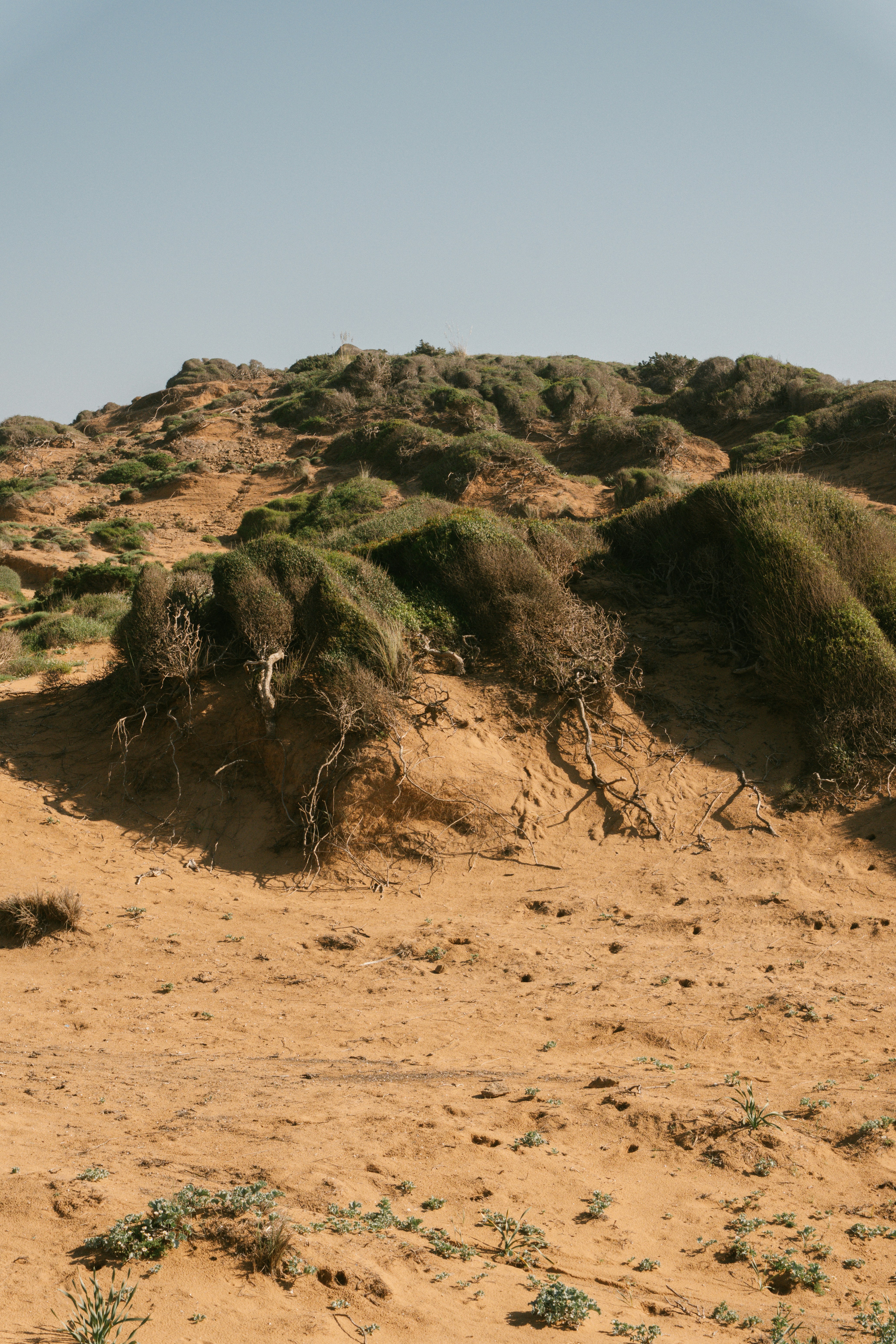 Sandy hill with sparse greenery under a clear sky. photo – Free Land ...