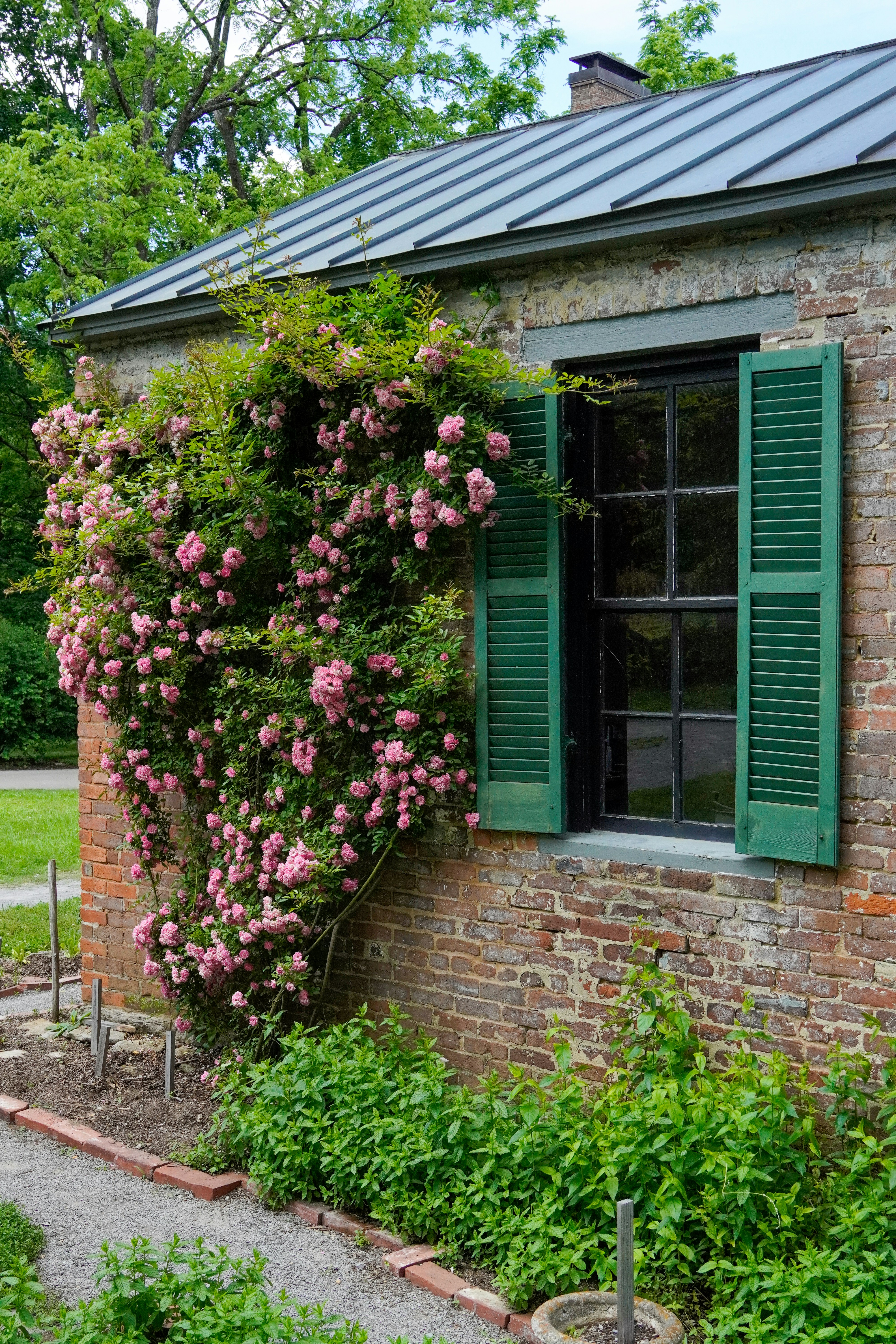 Whispers of Nature: A Floral Embrace on Brick