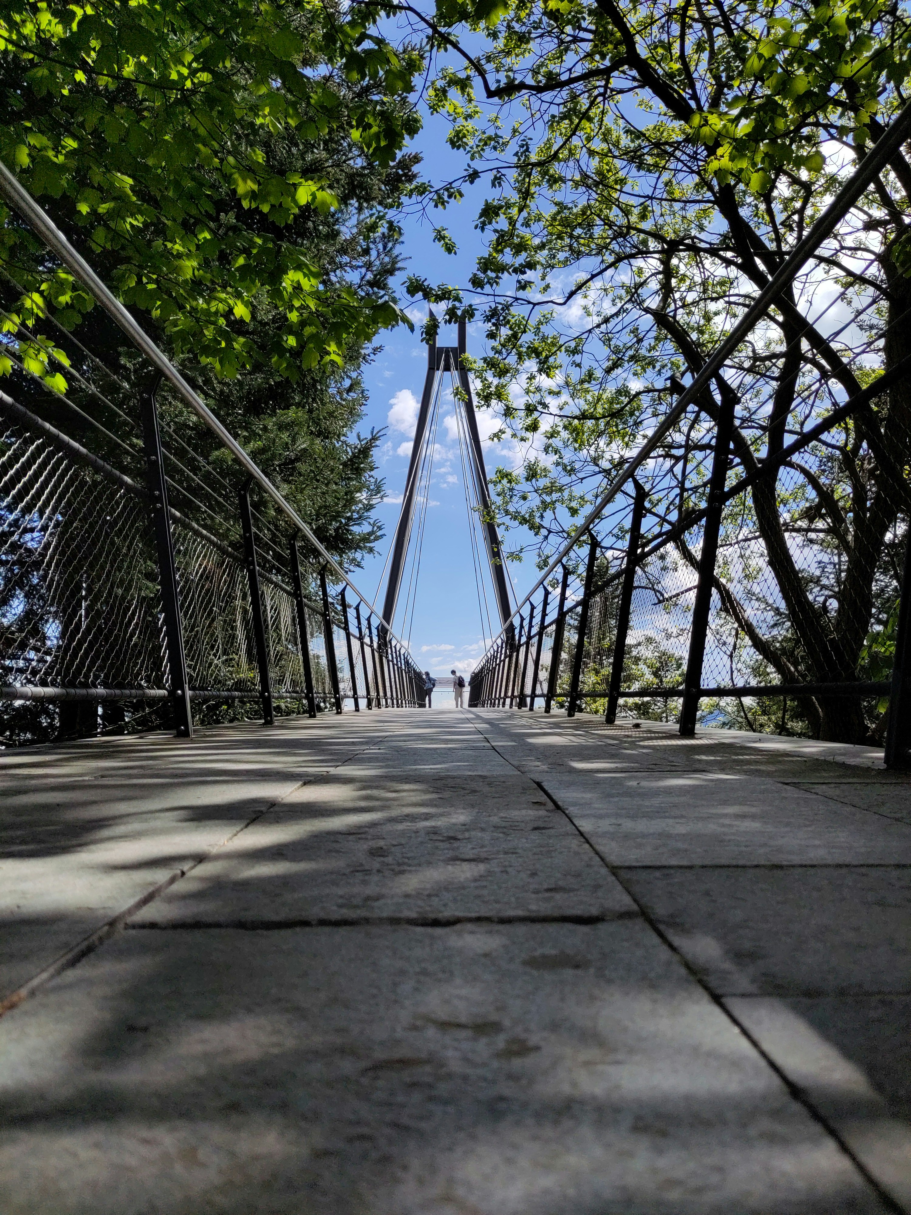 A low-angle view of a suspension bridge framed by lush greenery, leading towards two figures in the distance. The scene captures a tranquil moment in nature.