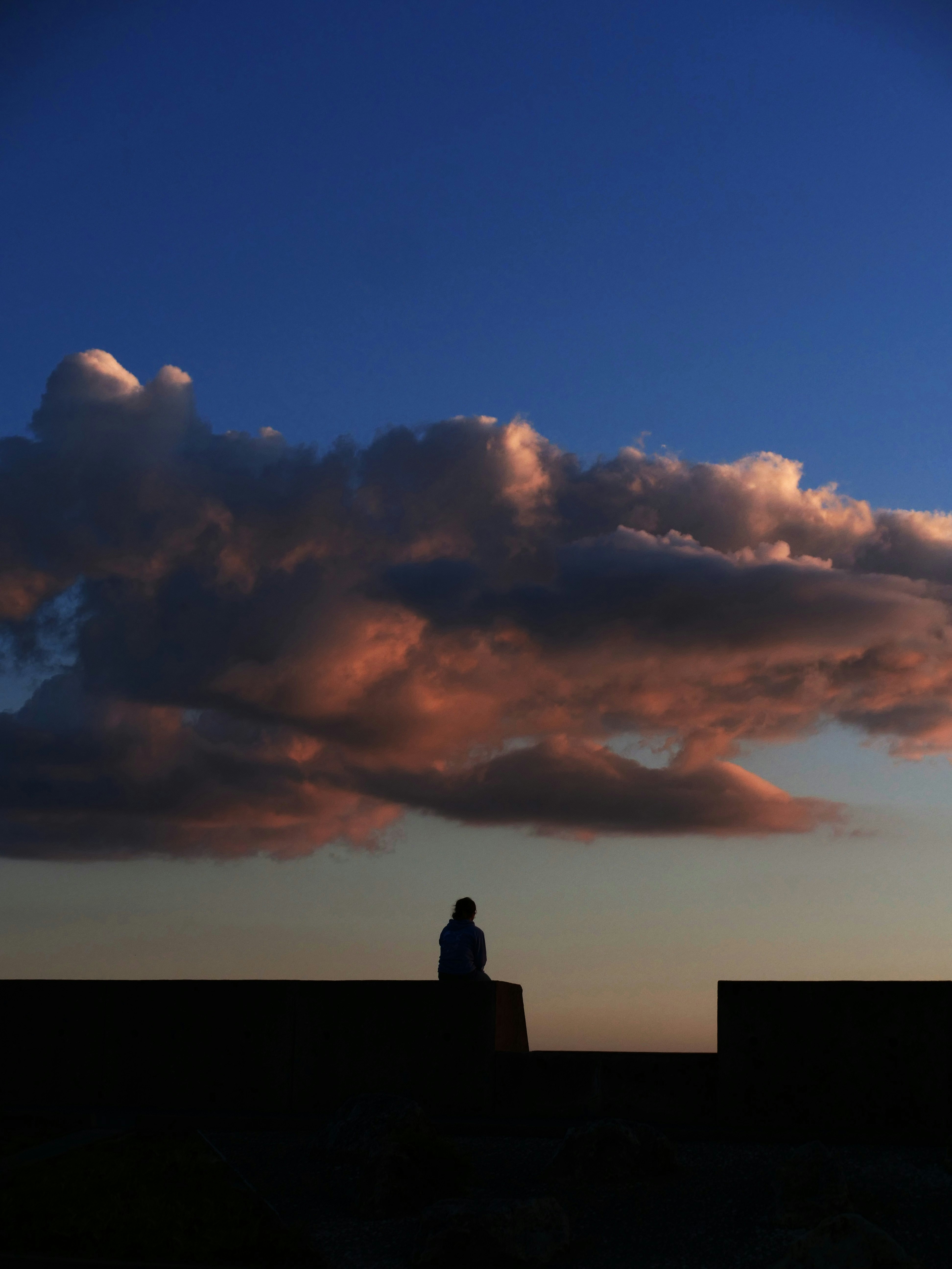 Contemplation Under the Evening Sky