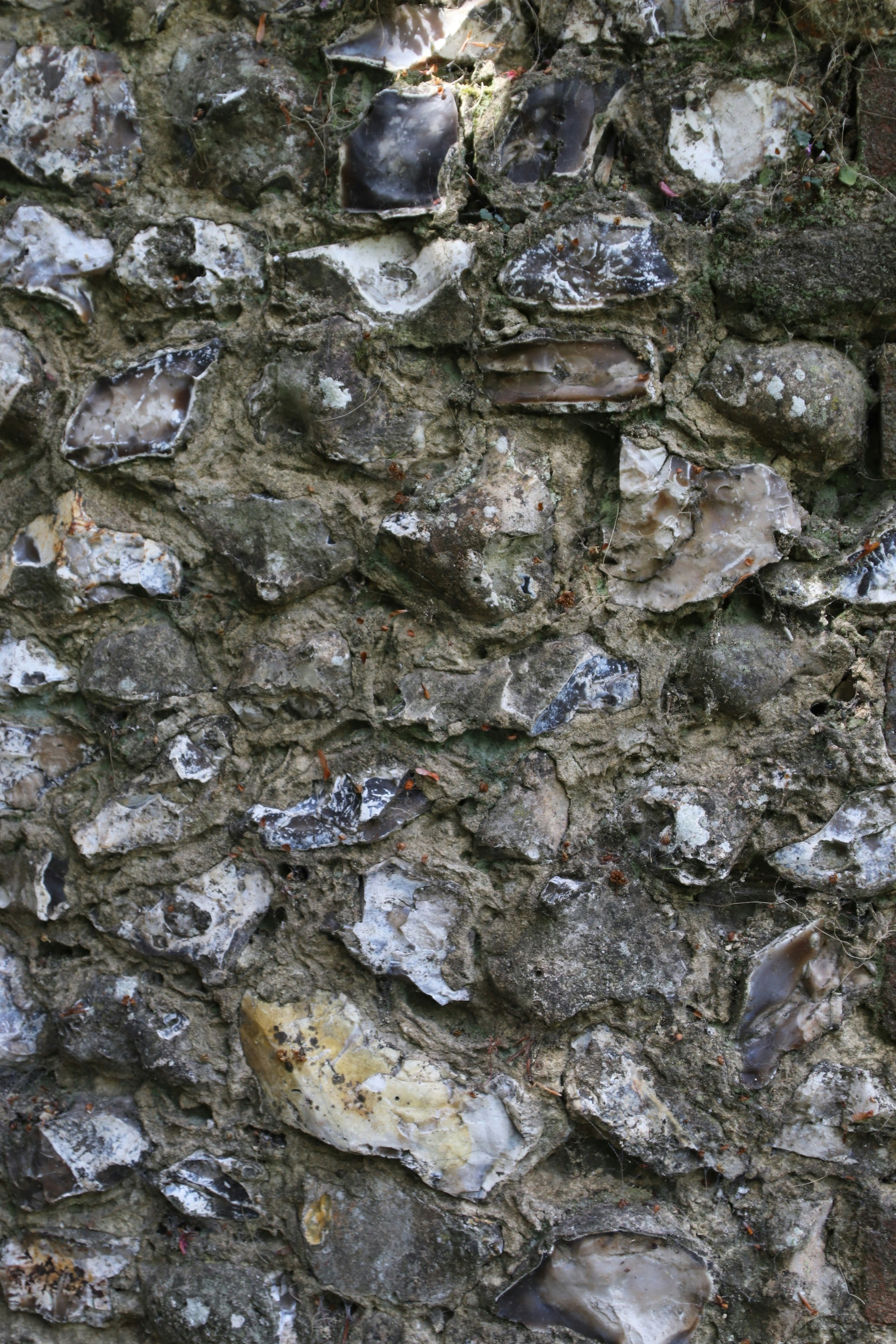 Pebble Mosaic in Moss: A Close-Up of a Weathered Stone Wall