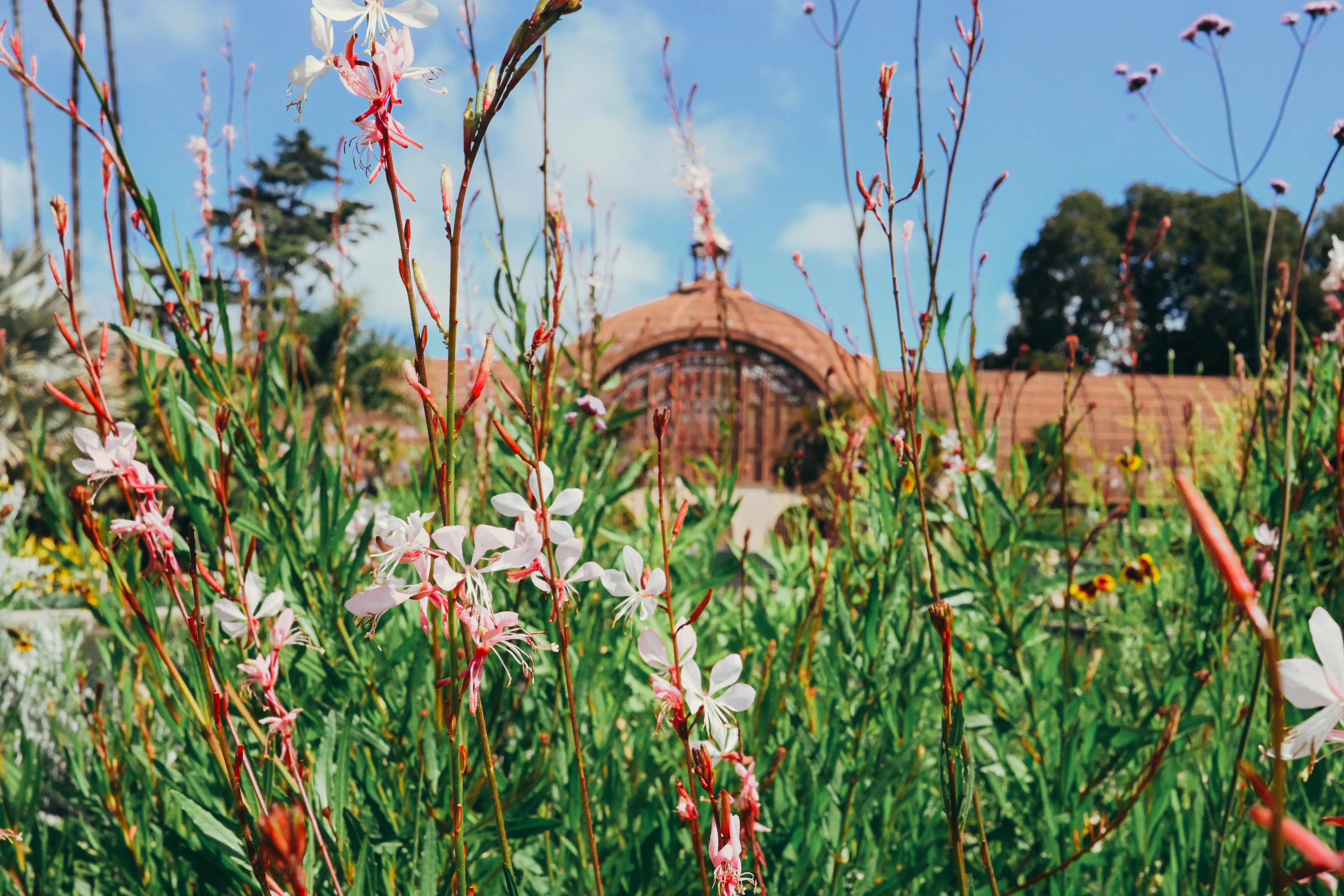 Photo by Emilia Igartua with Nikon Zfc