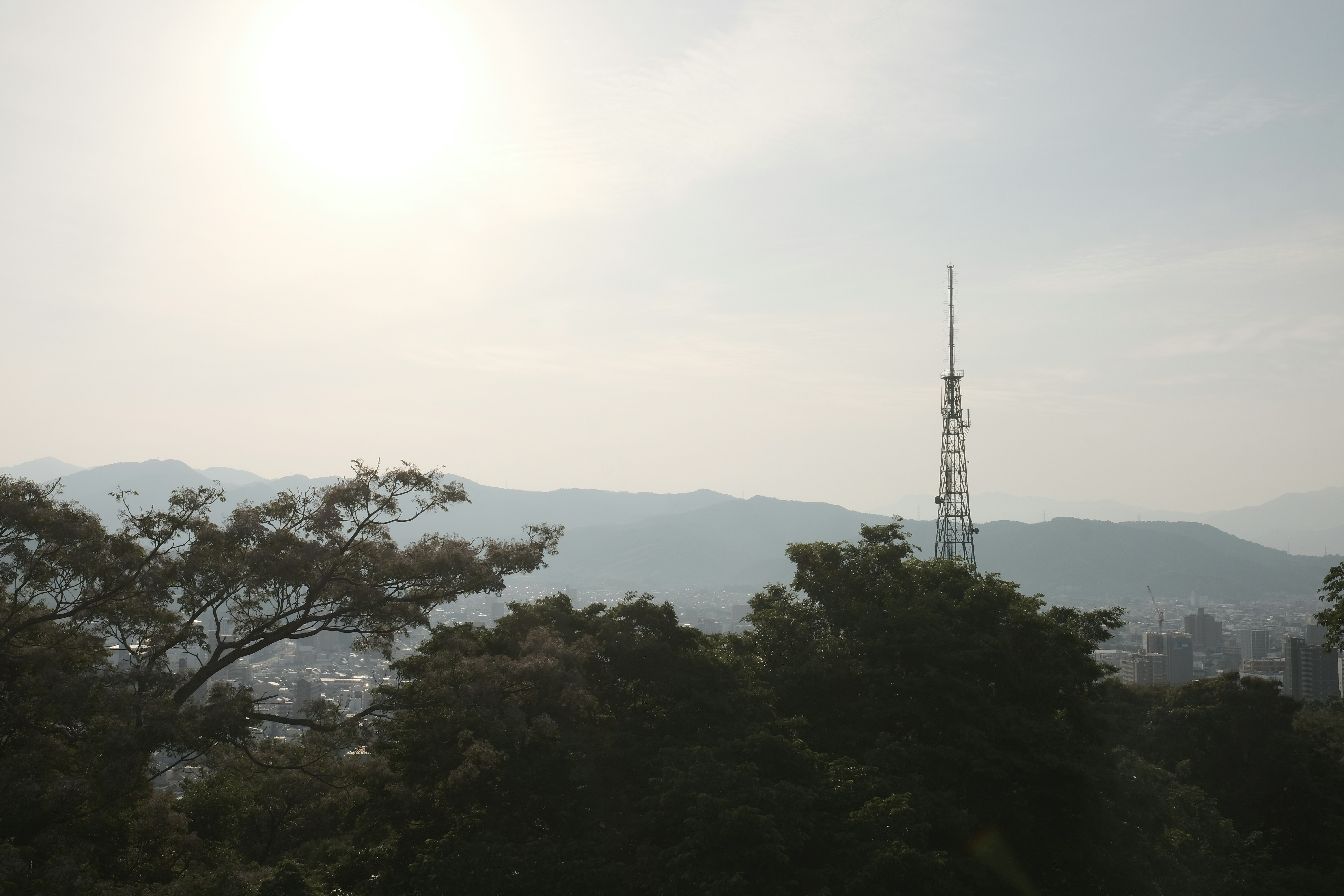 Whispers of the Horizon: A Tower's Solitude