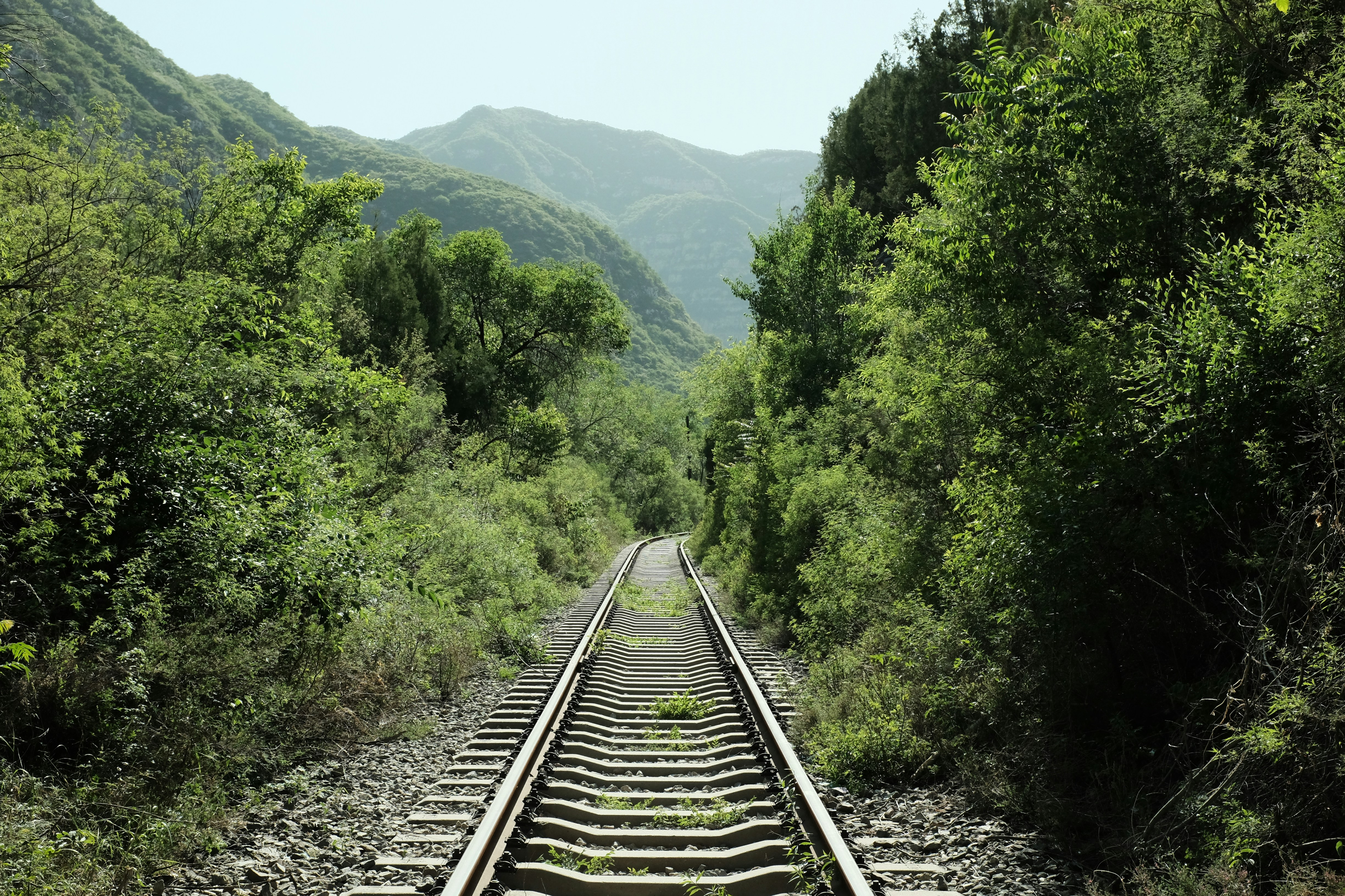 Railroad tracks lead through a lush, green landscape. photo – Free ...