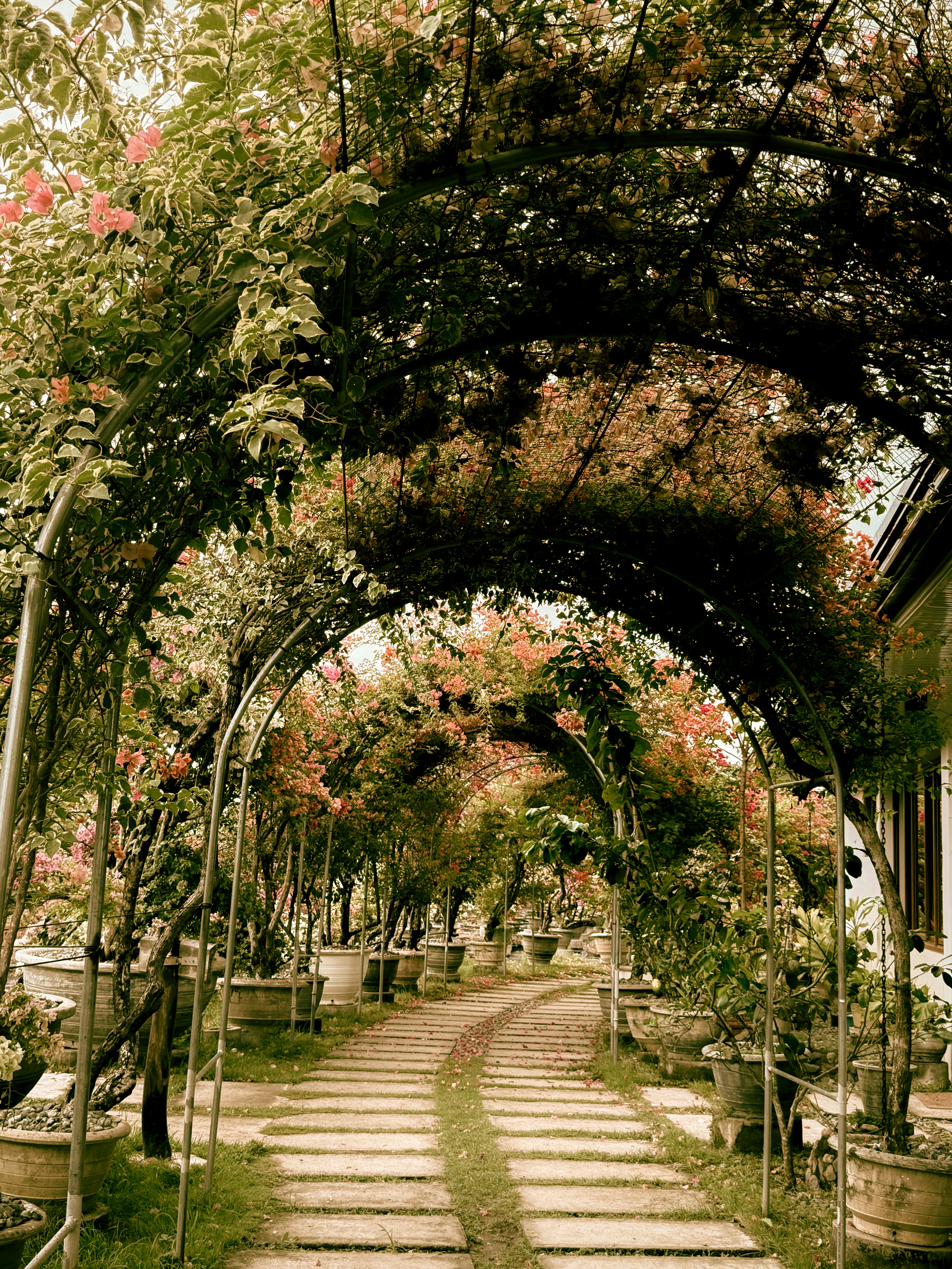 Photo by Mark Palmones with Apple iPhone 16 Pro Max