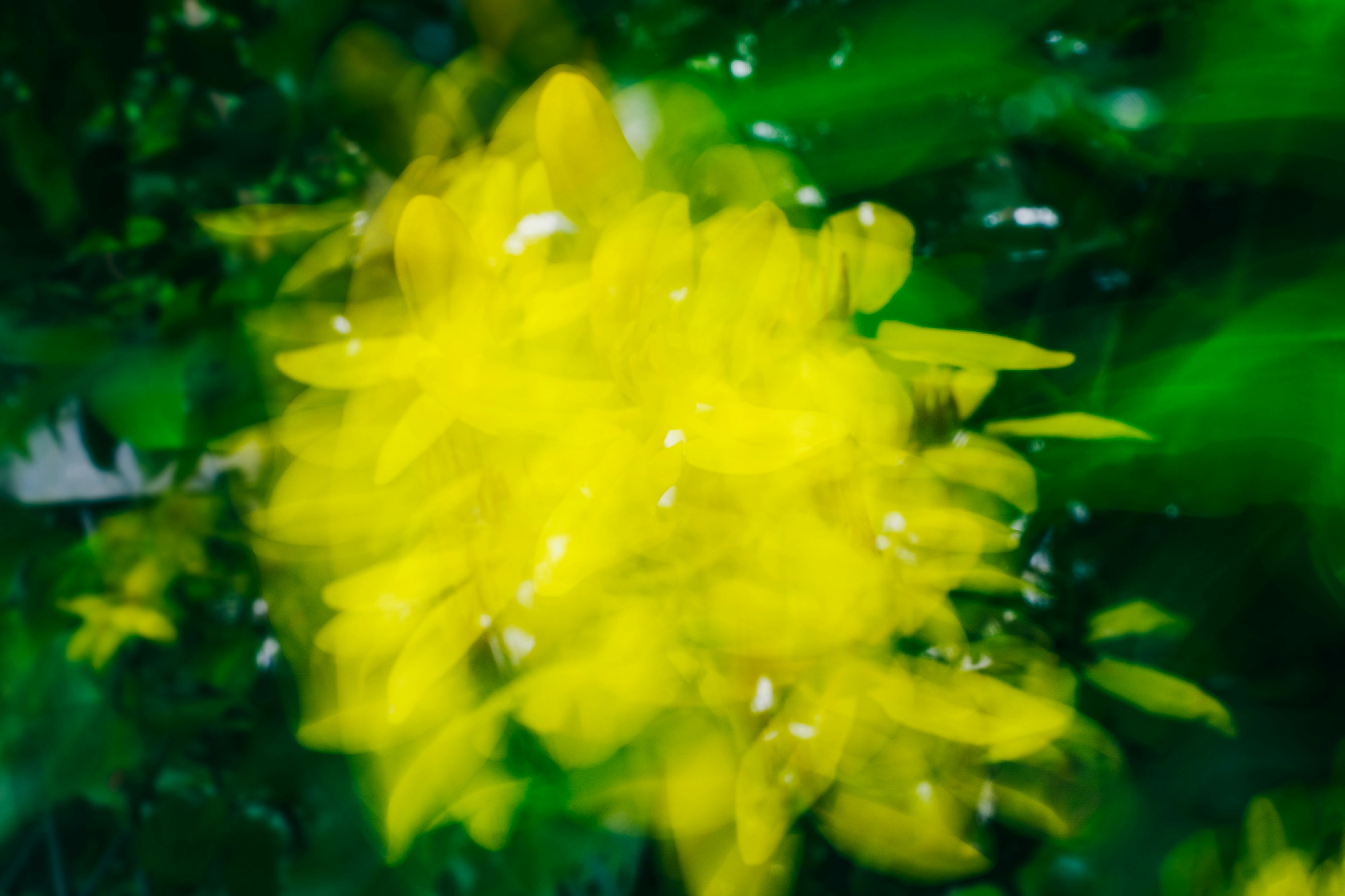 Motion Bloom in Green: A Yellow Flower Lost to Soft Focus