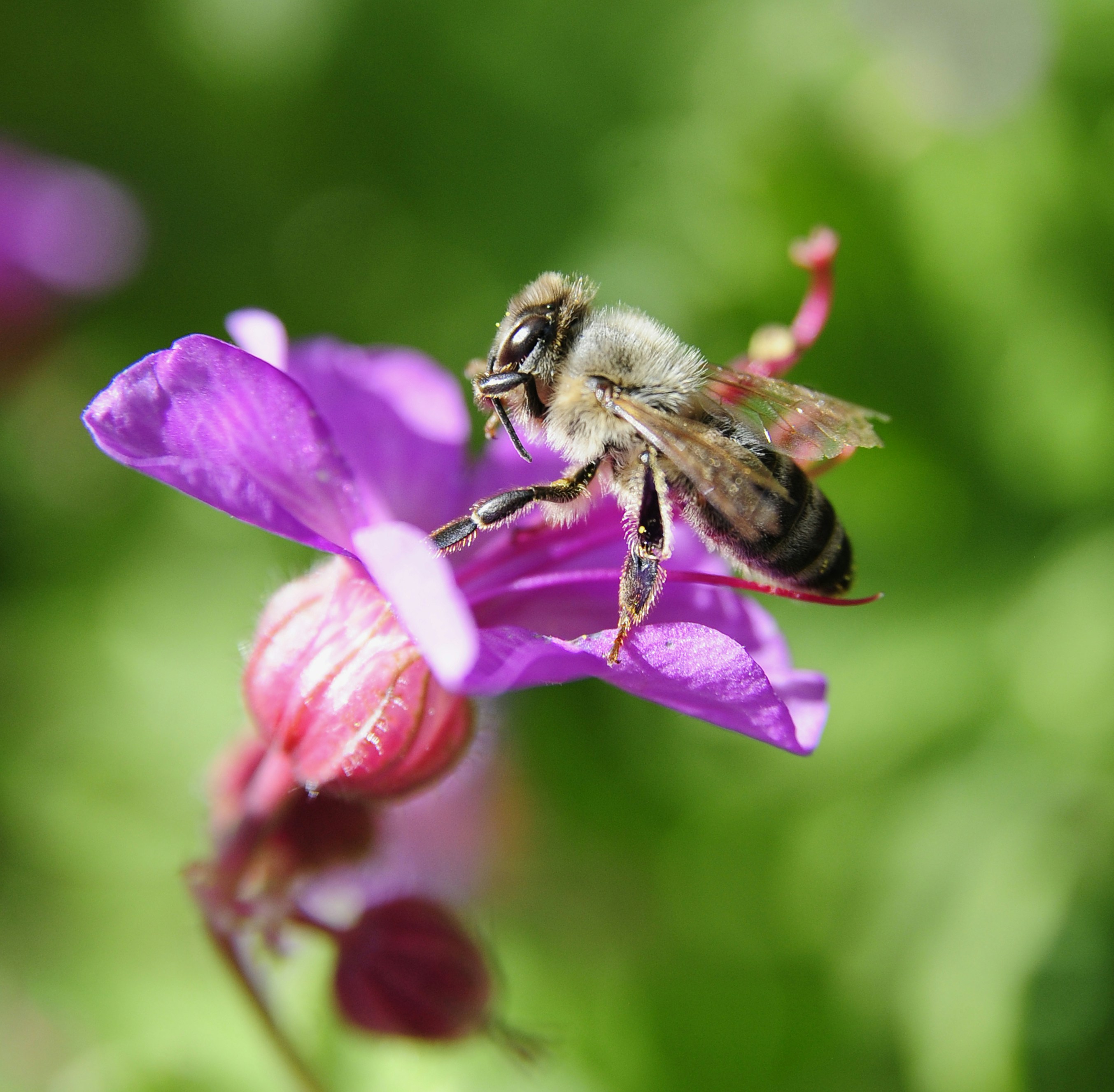 Photo by JOGsplash with Nikon D700