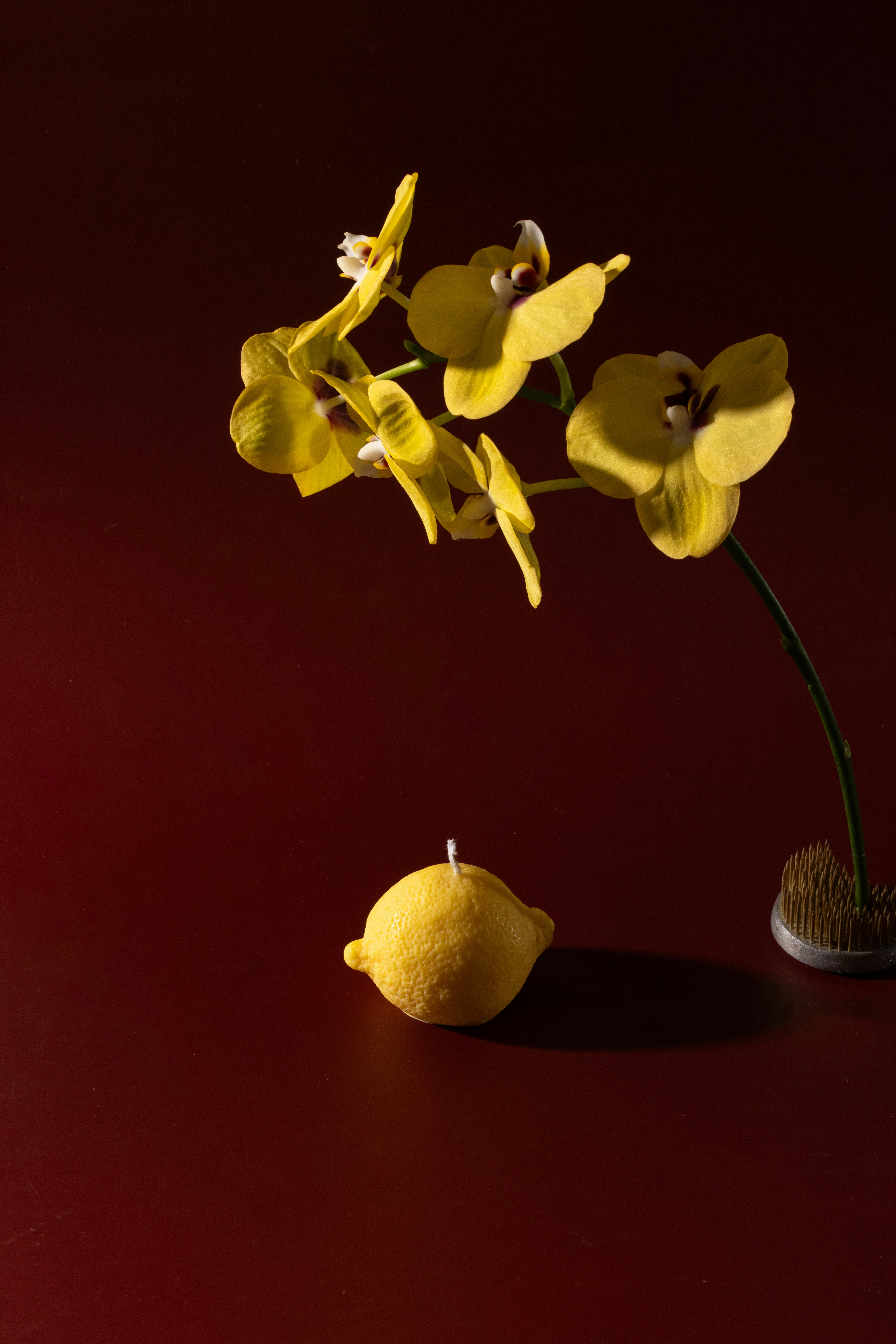 Albert Salim (@albertsalim) | Communauté photos Unsplash