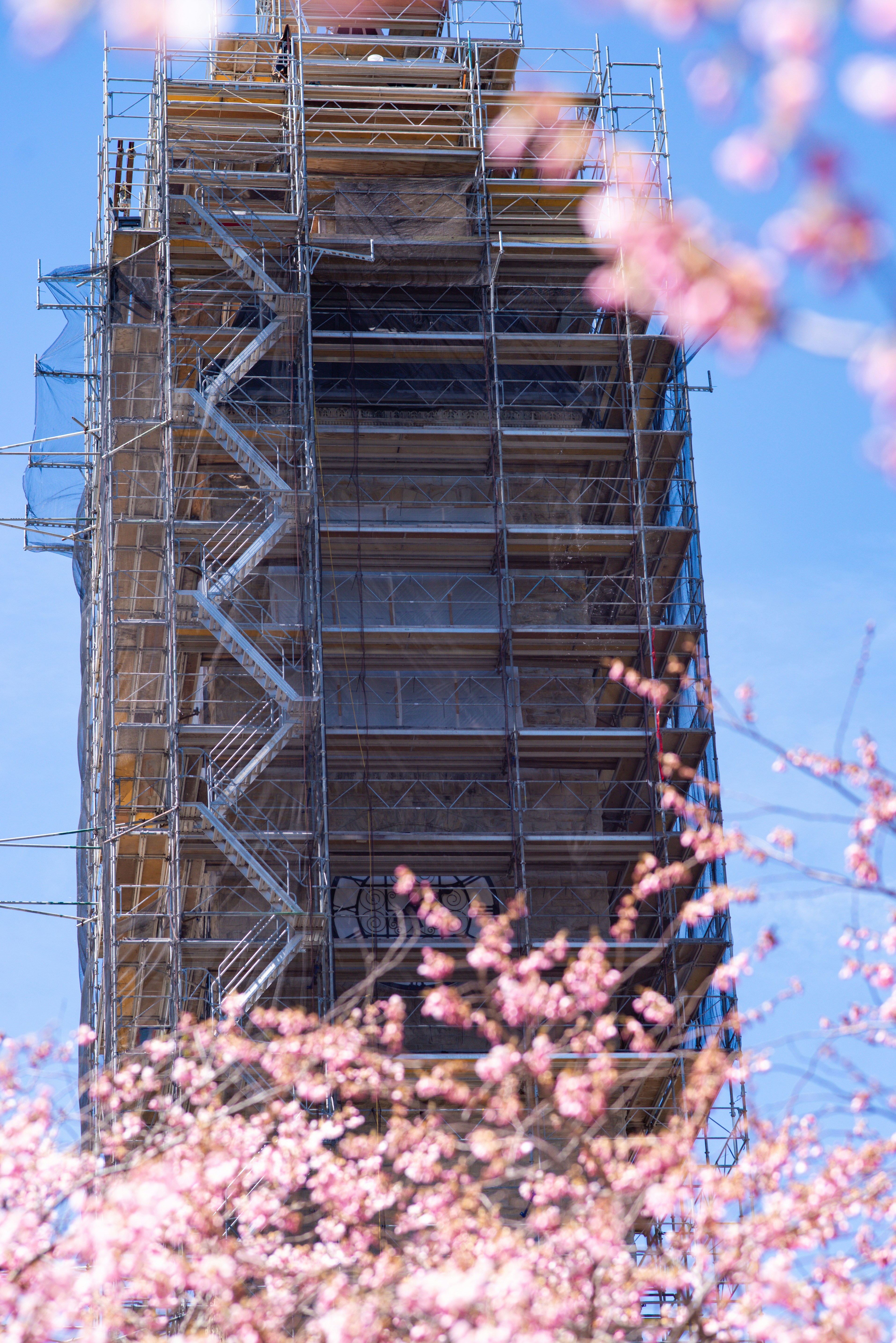 Steel Skeleton, Spring Frame: A Tower Rises Amid Pink Blur
