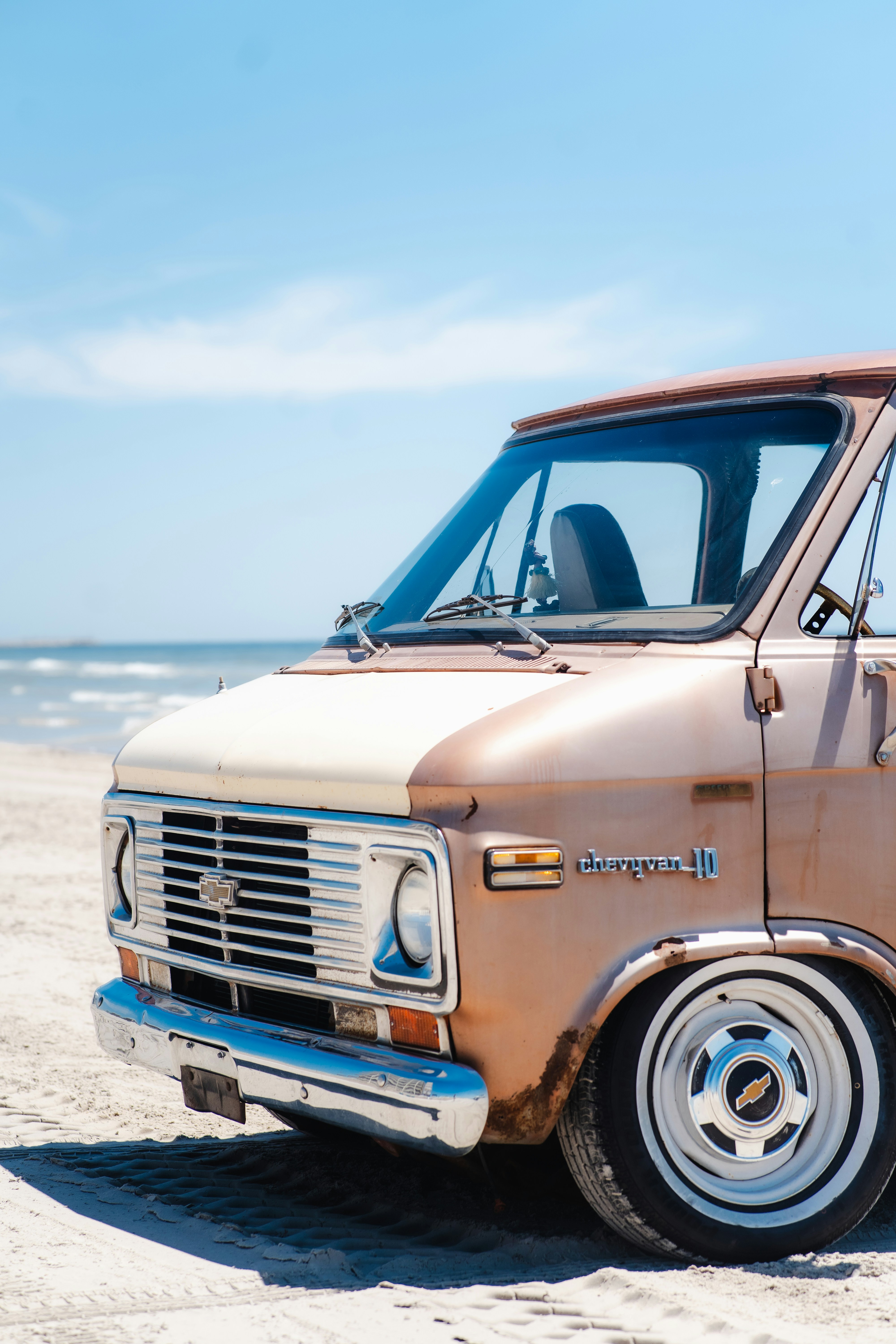 Rust and Sand: A Beachside Cheyenne Stares Down the Sea