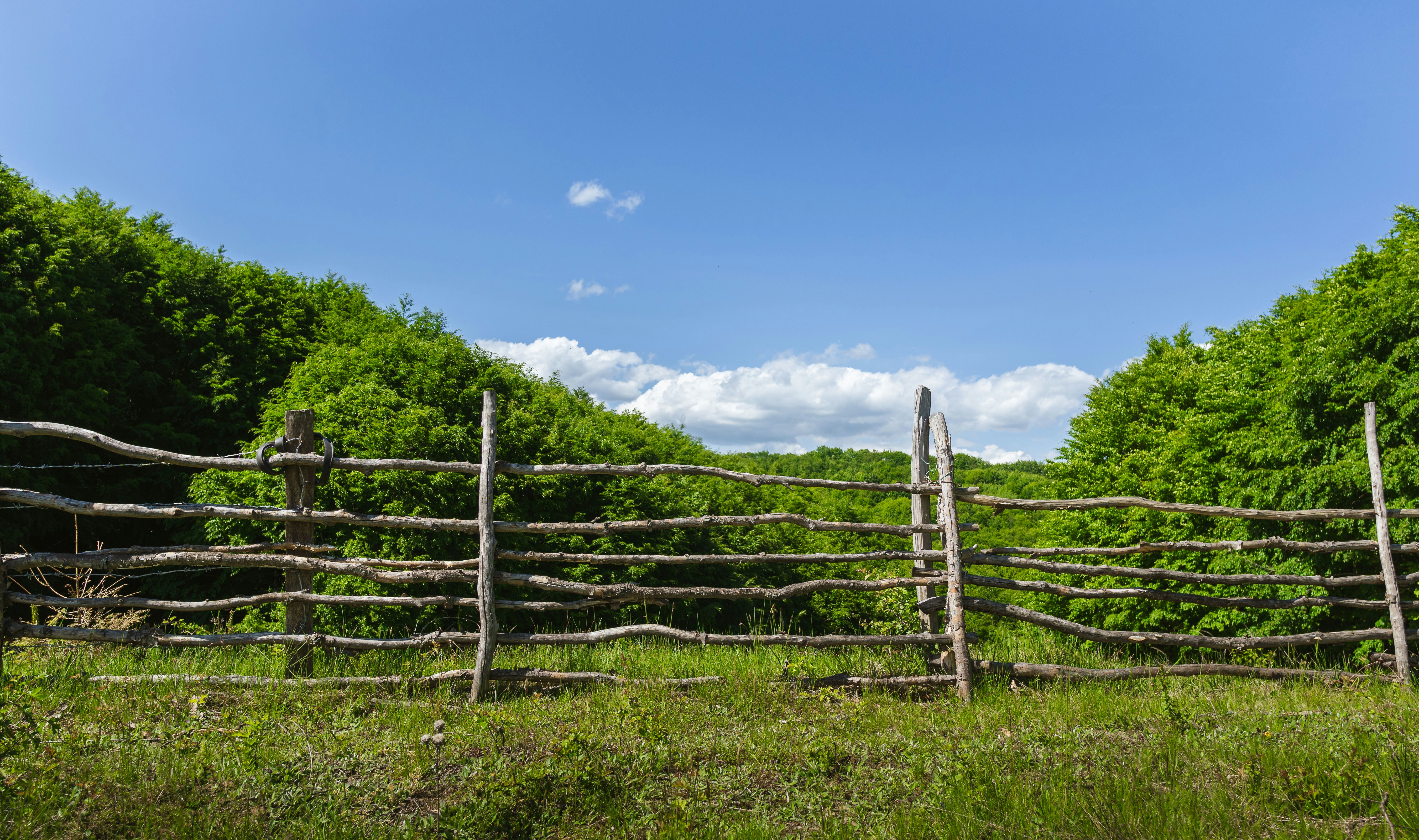 Photo by Vladut Anton with Sony Alpha 6400