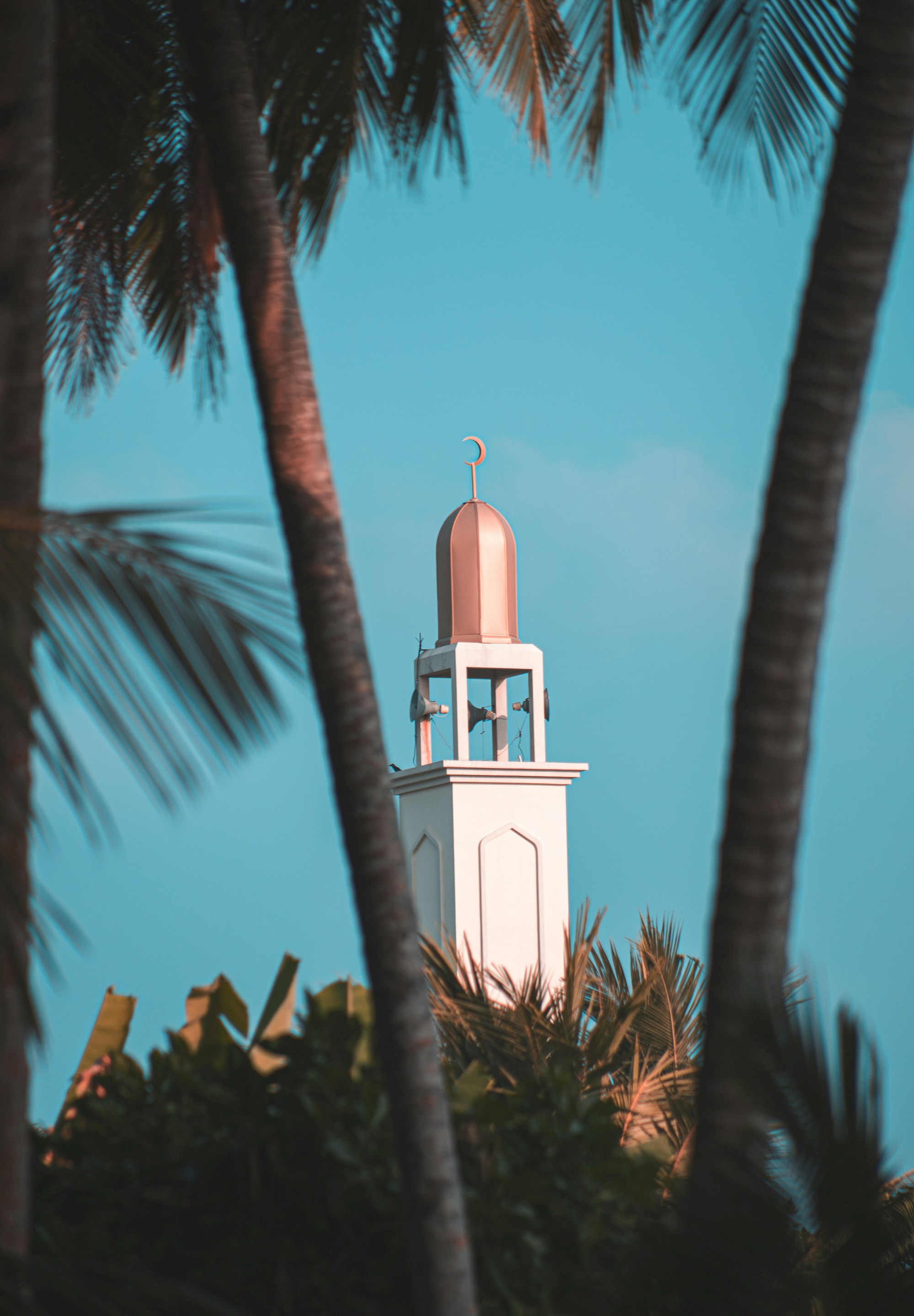 A mosque tower is seen through palm trees. photo – Free Mosque Image on ...
