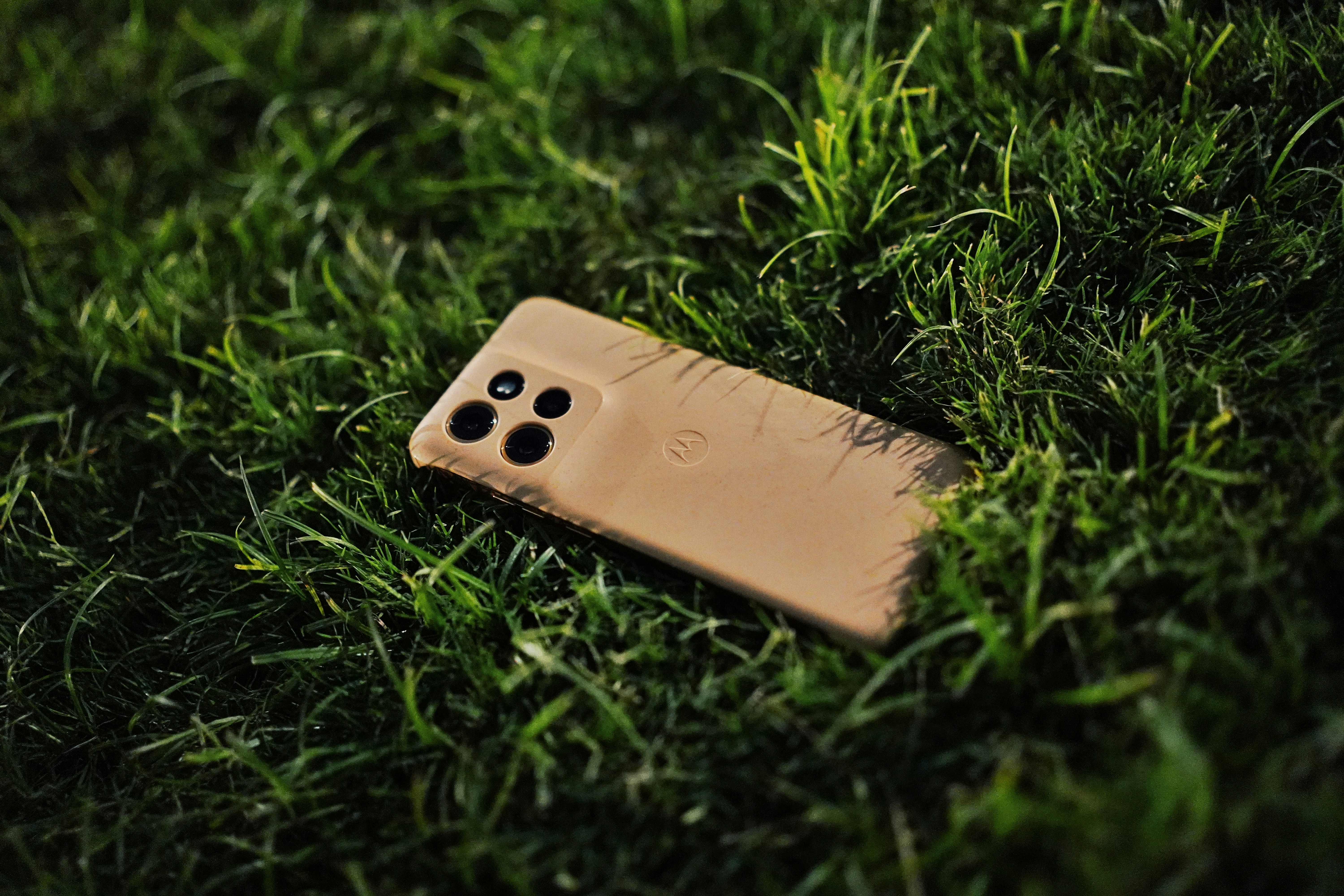 Nature's Embrace: A Phone's Resting Place