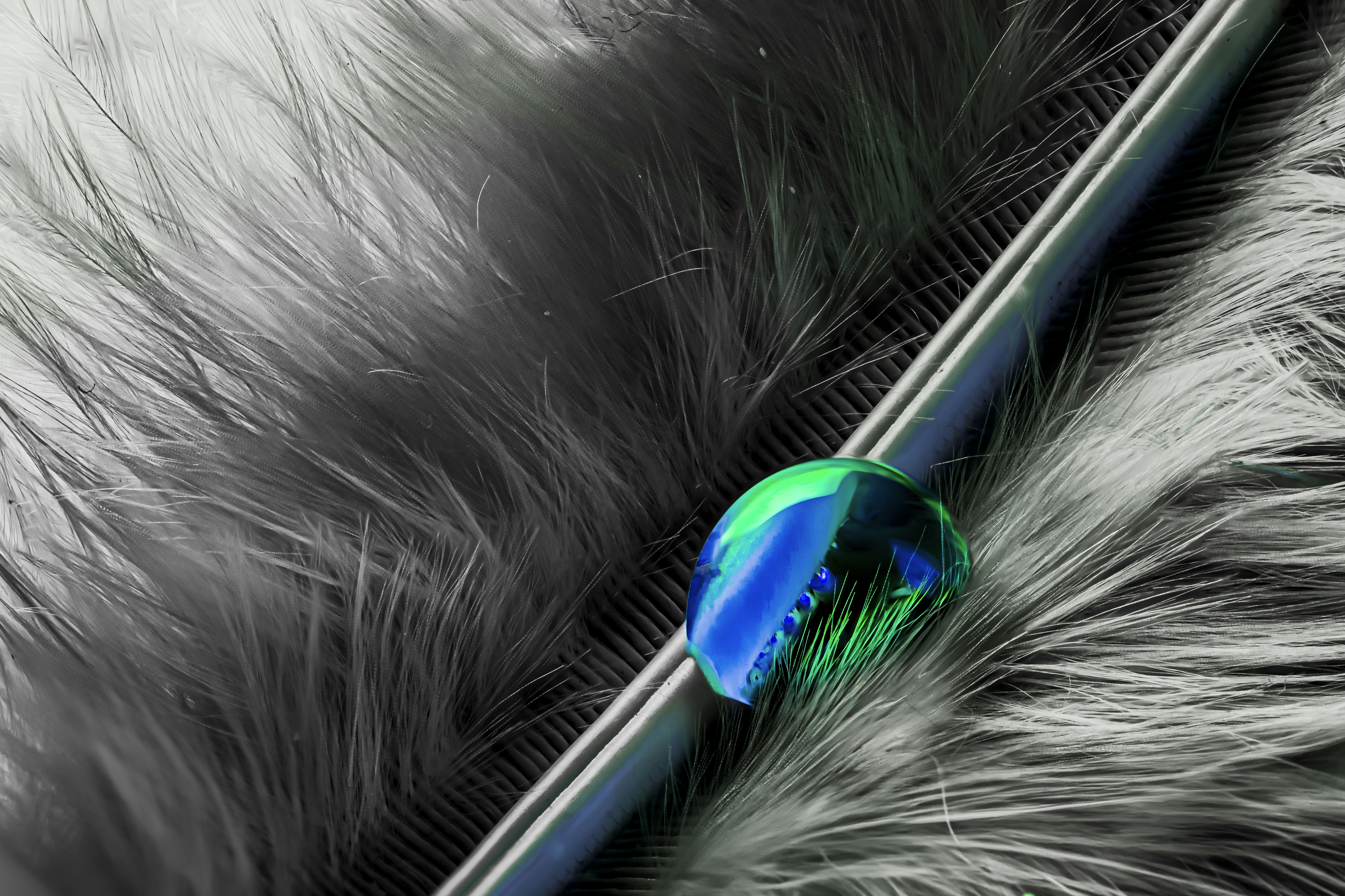 Reflections of Nature: A Droplet's Dance