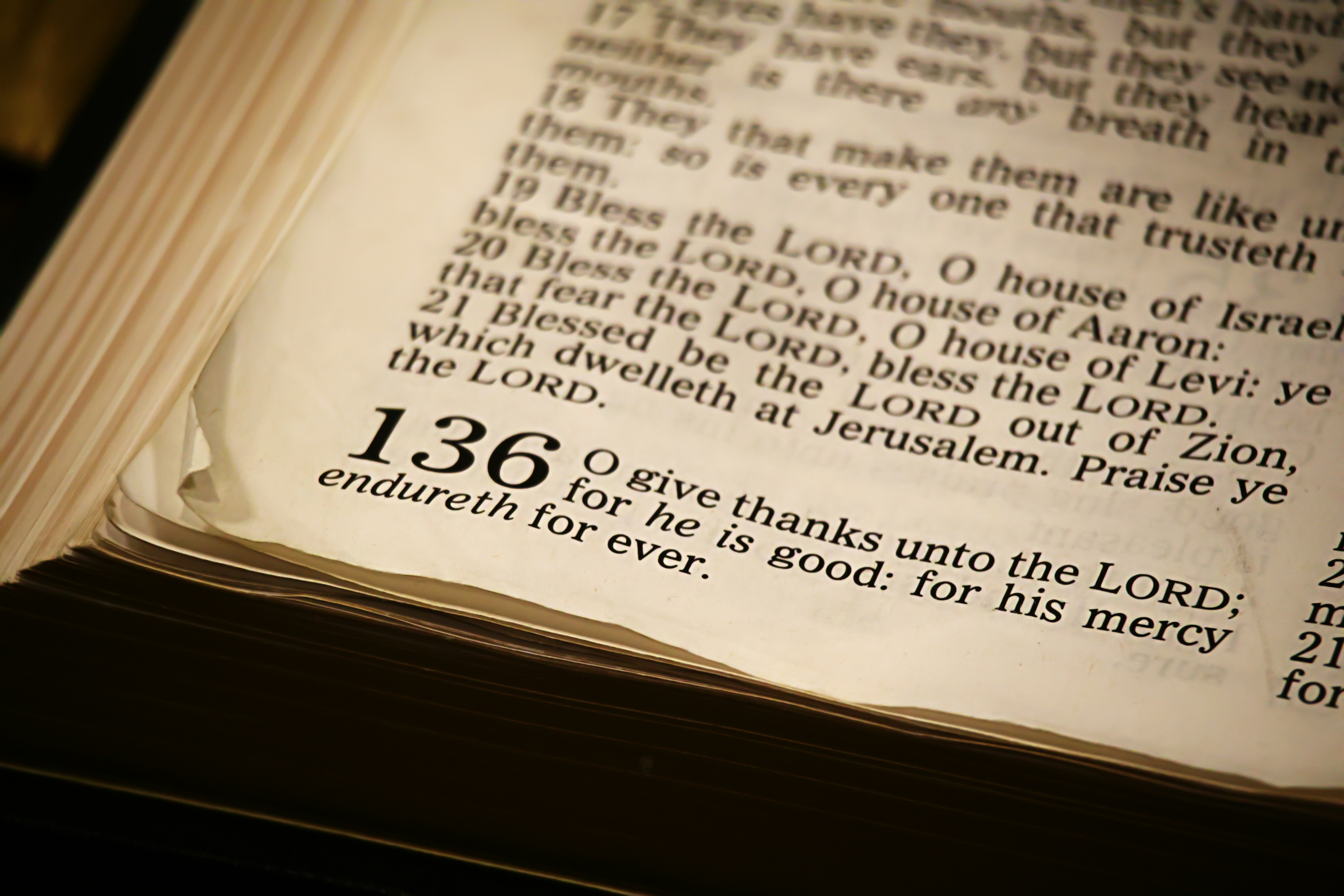 Wisdom Inscribed: A Glimpse into Timeless Verses