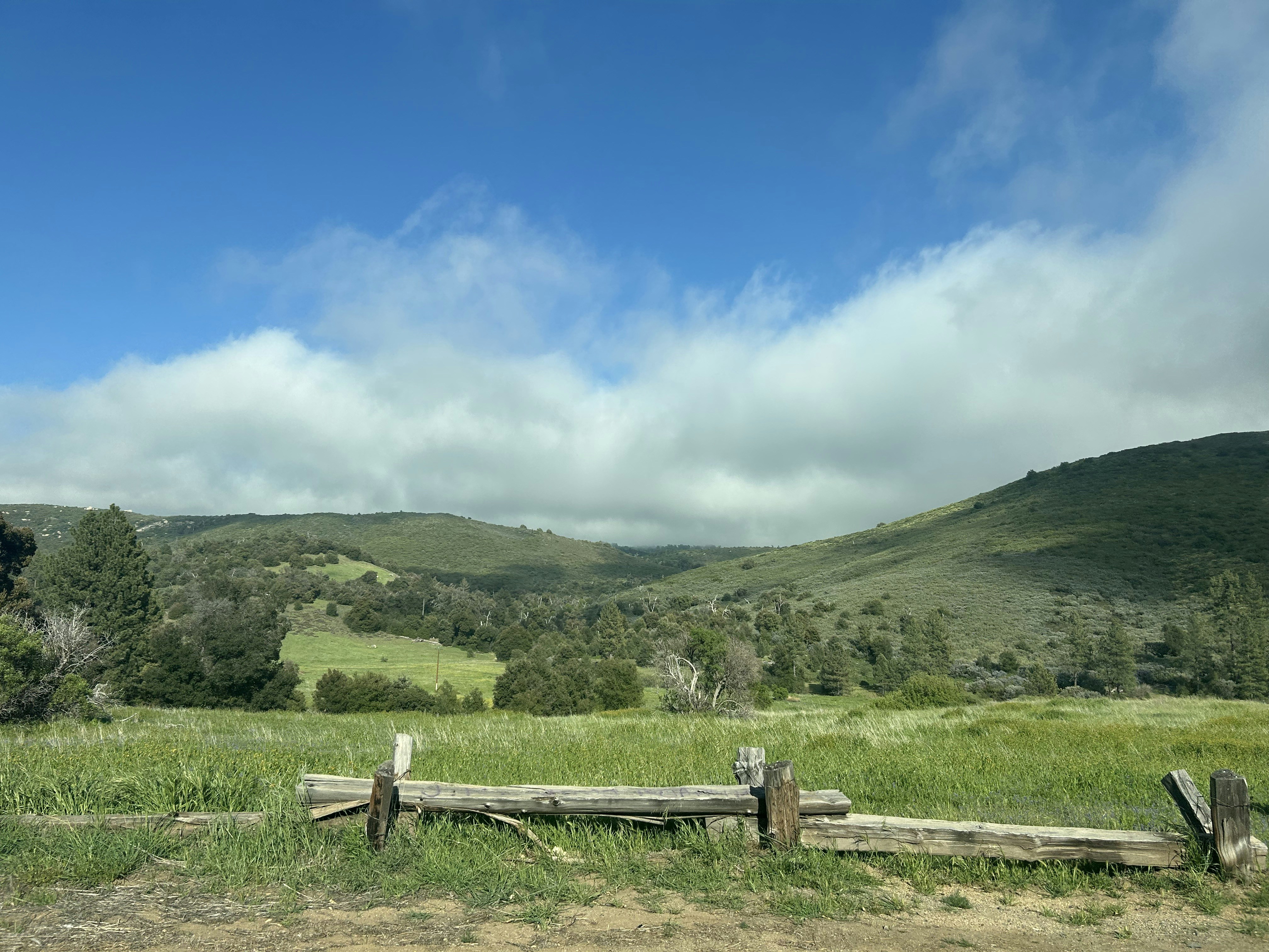 Fence-Line Horizon: A Quiet Meadow Framed by Rolling Hills