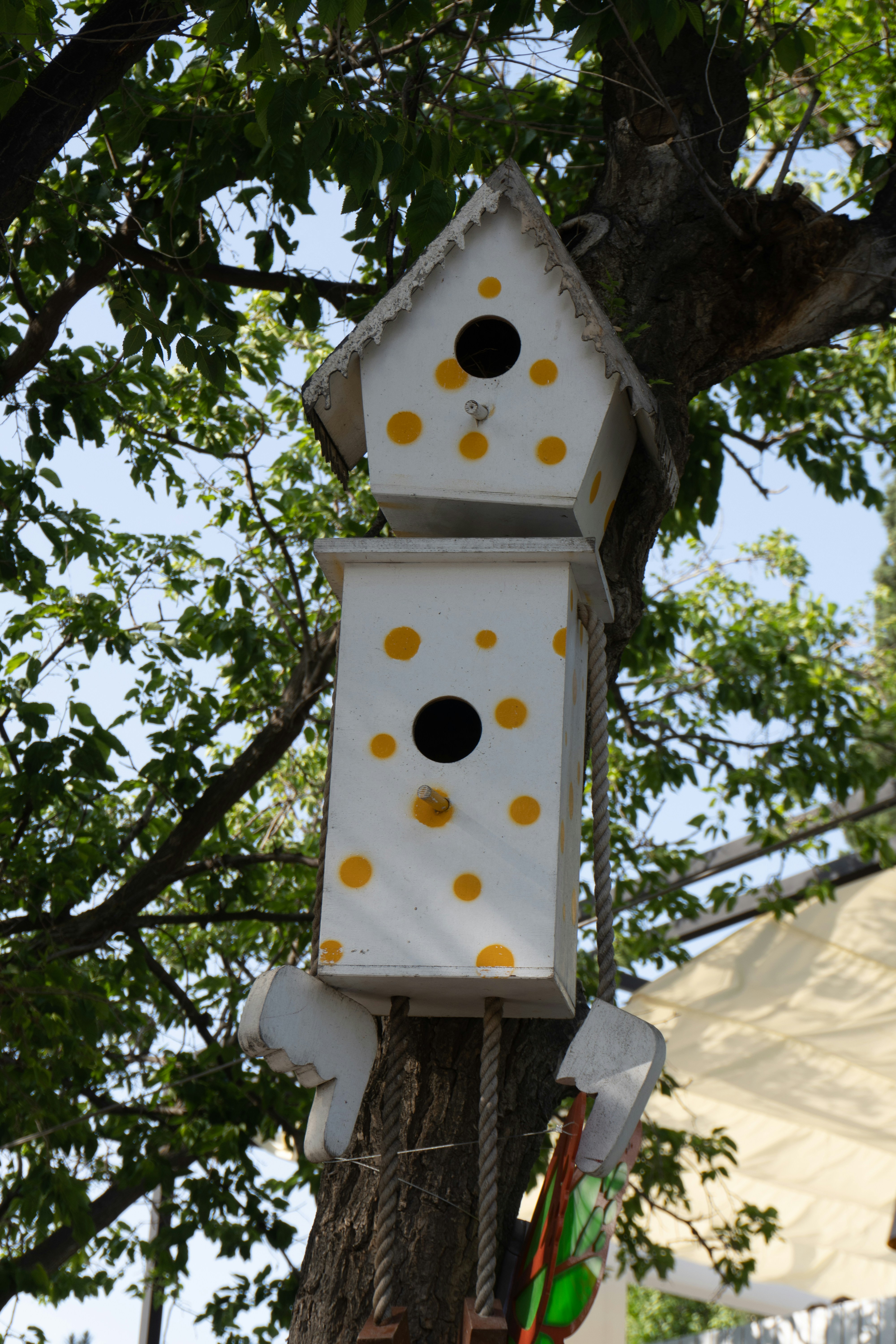 Polka-Dot Perch: Stacked Birdhouses on a Sunlit Tree