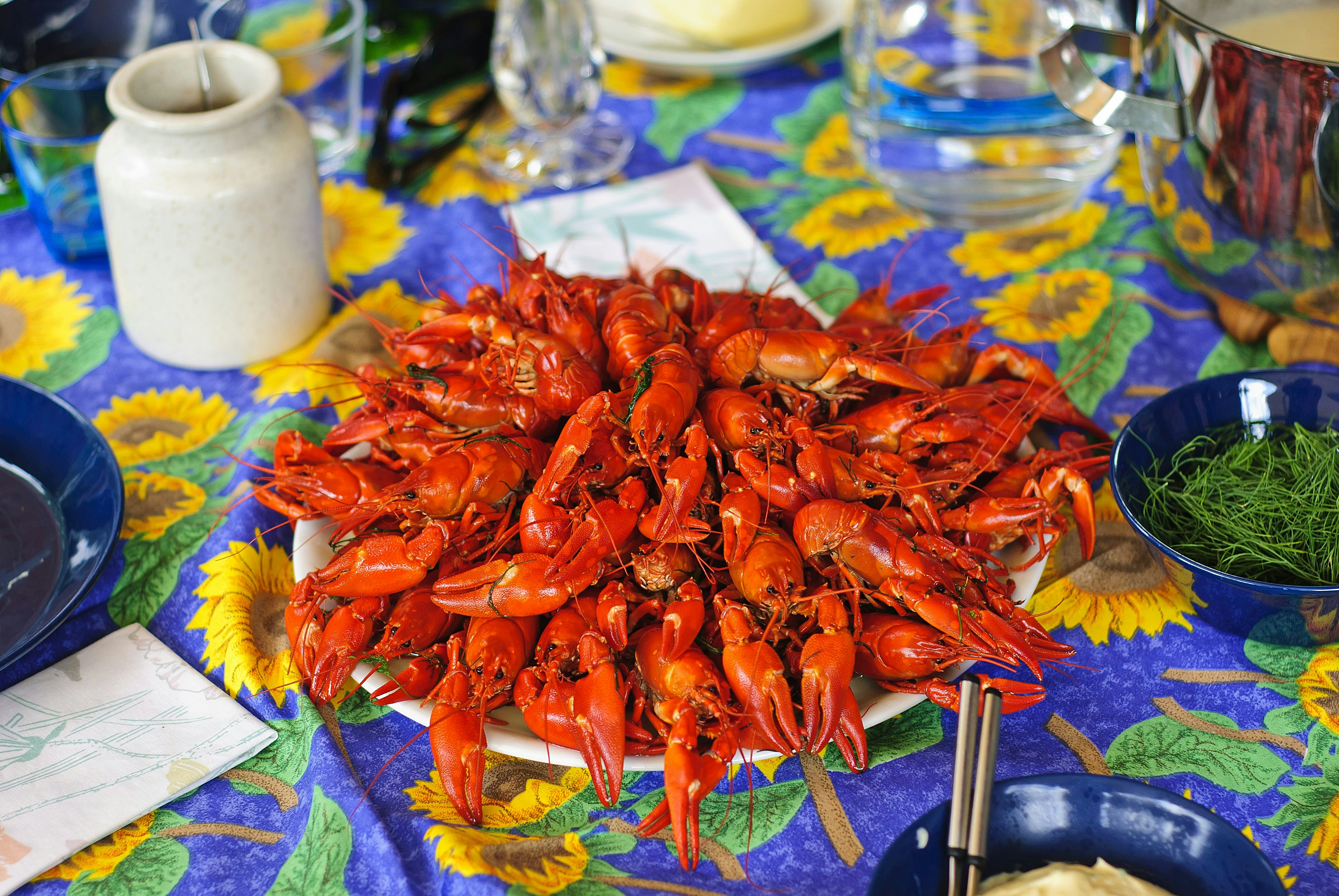 A plate full of cooked crabs, crab feast (rapujuhla) | A plate of crayfish on a brightly colored table.