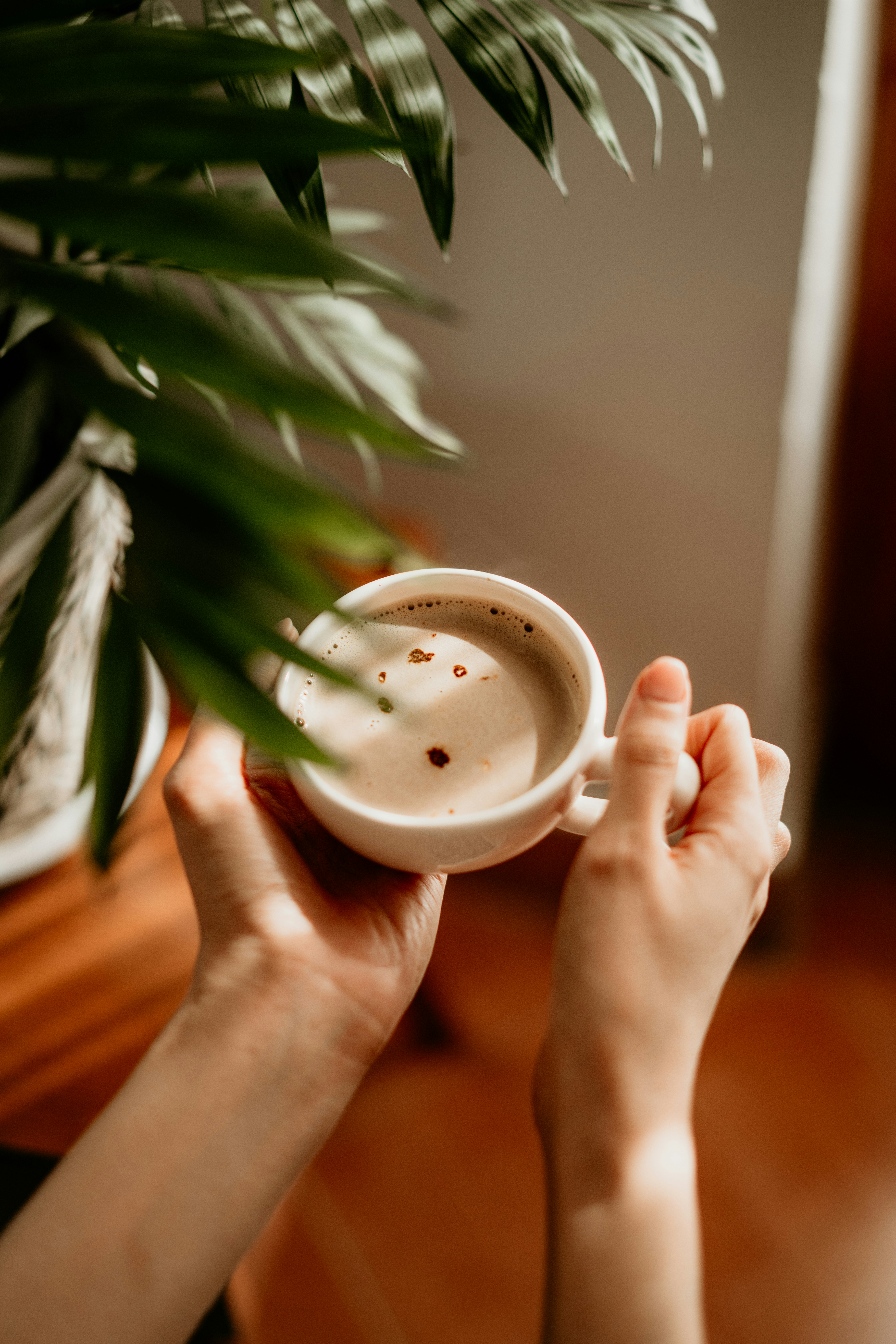 Hands hold a cup of coffee near a plant.