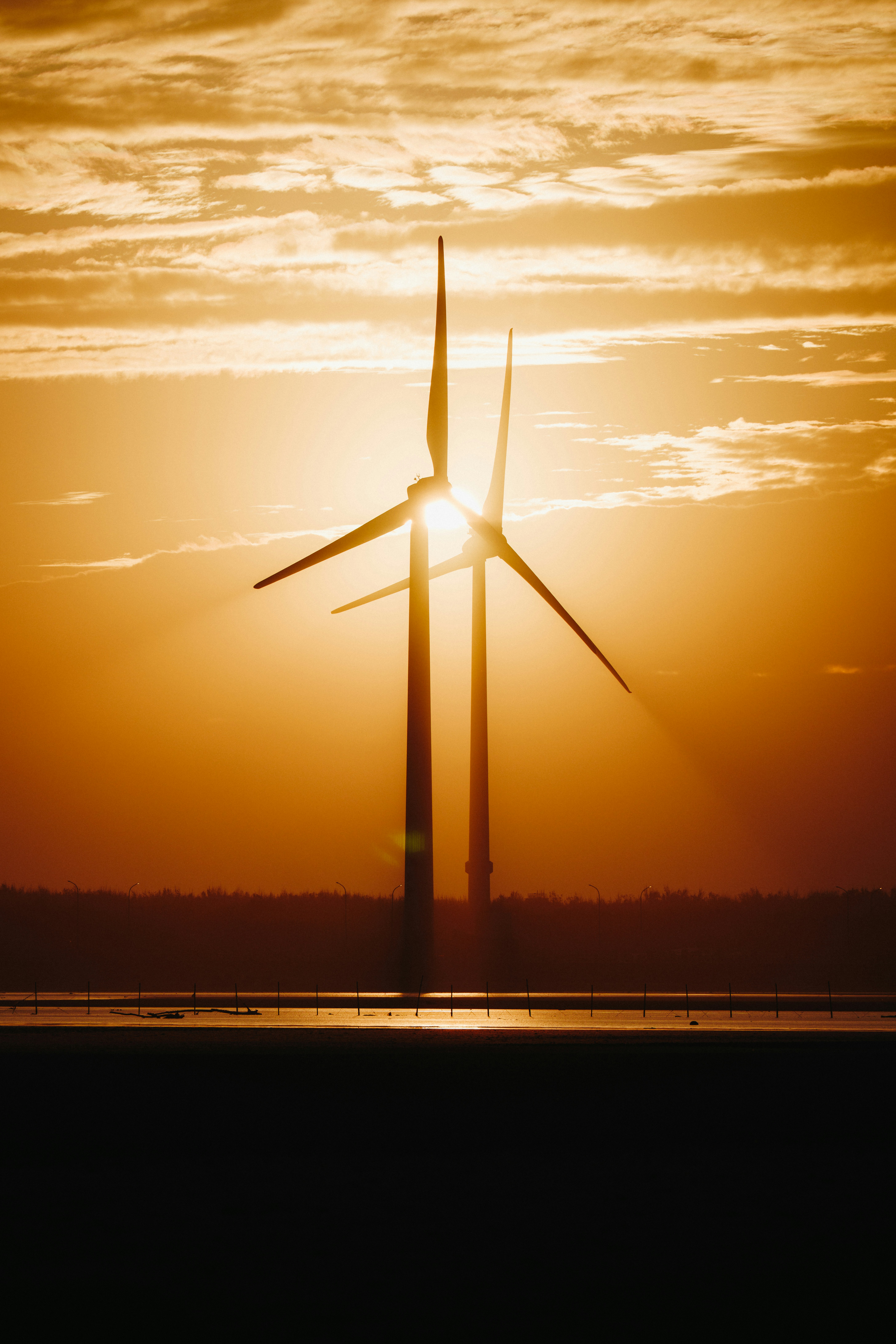 Whispers of the Wind: A Silhouette at Dusk