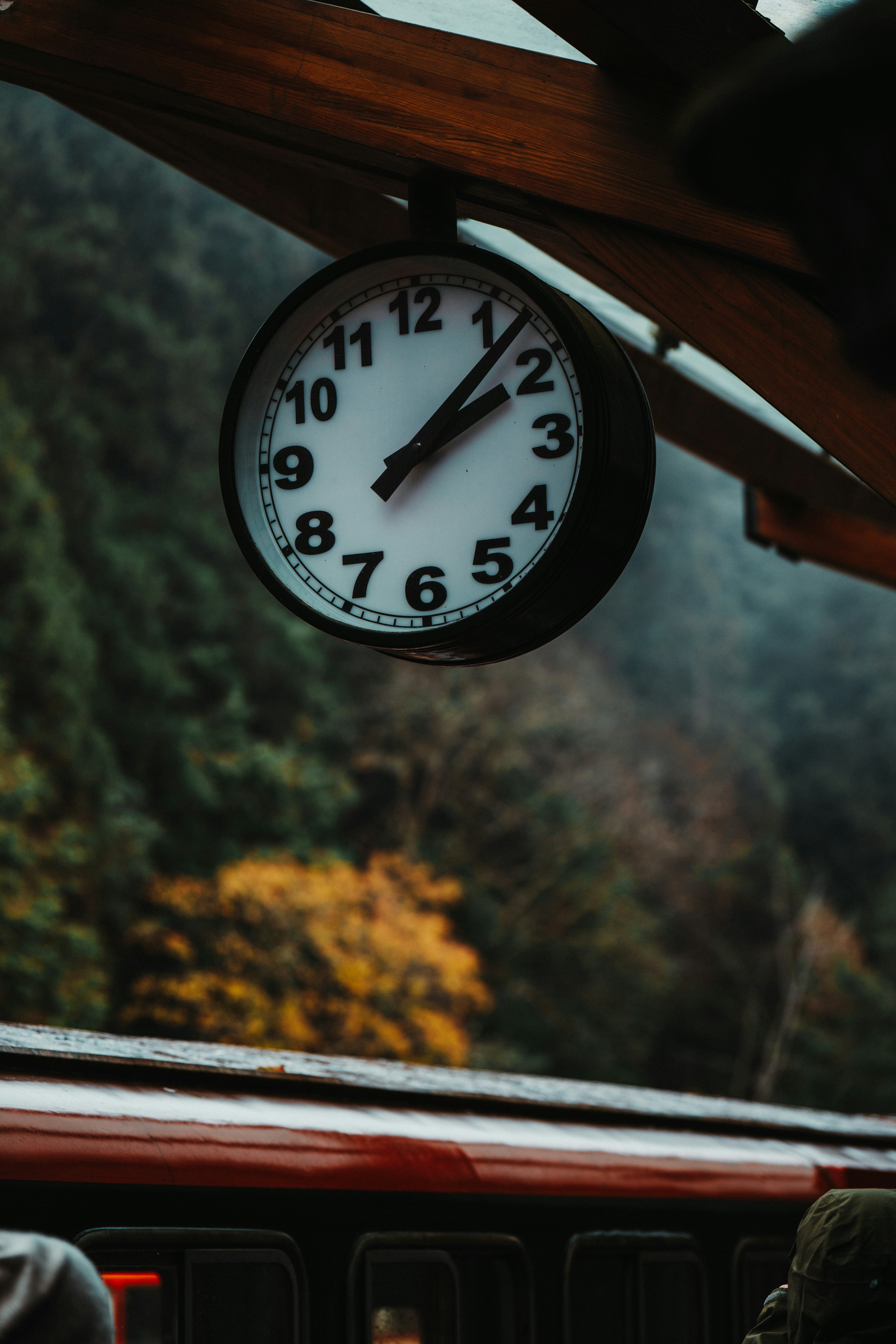 Timber Clock on a Mountain Platform, Framed by Misty Pines