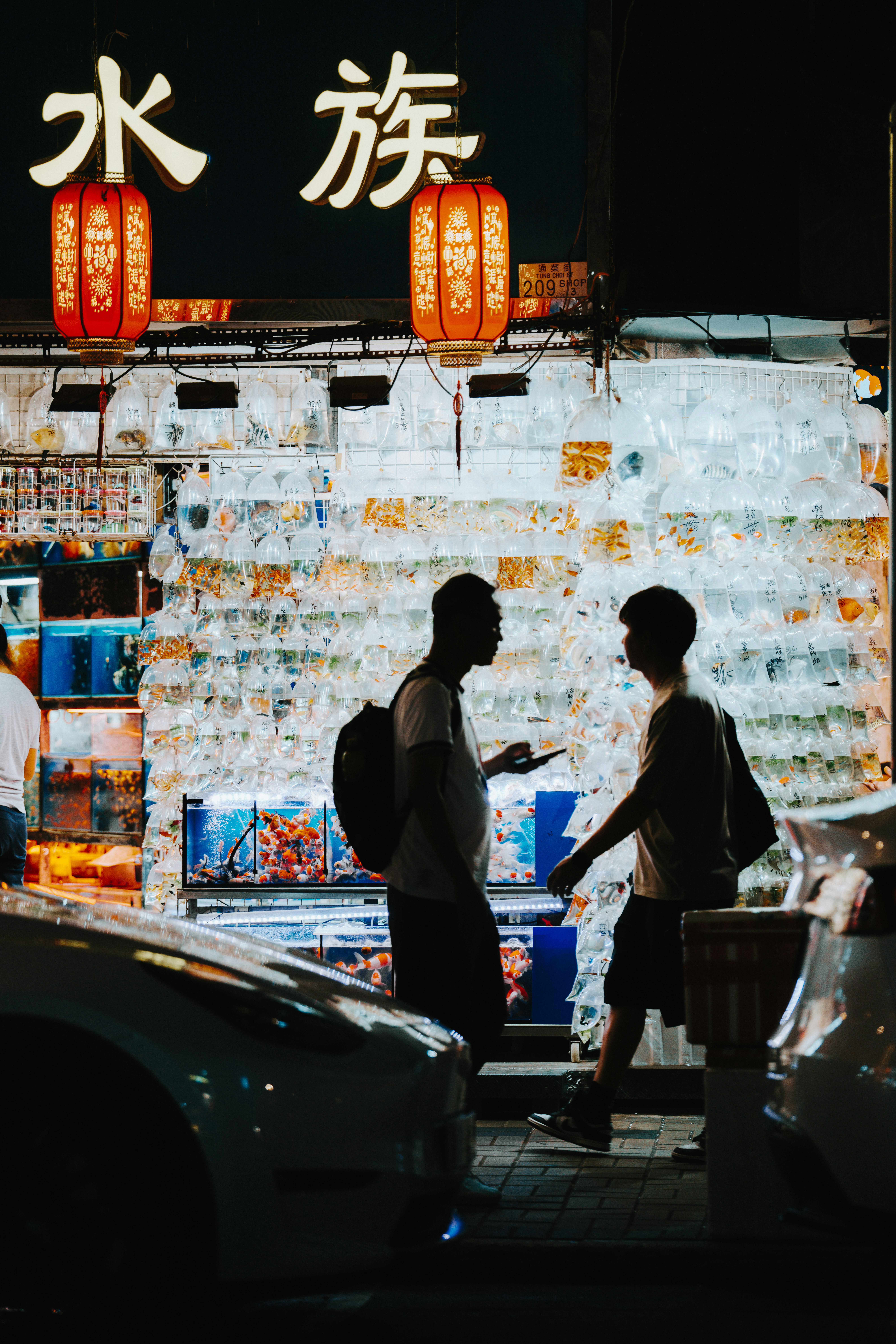 People converse in front of a neon-lit aquarium shop. photo – Free ...