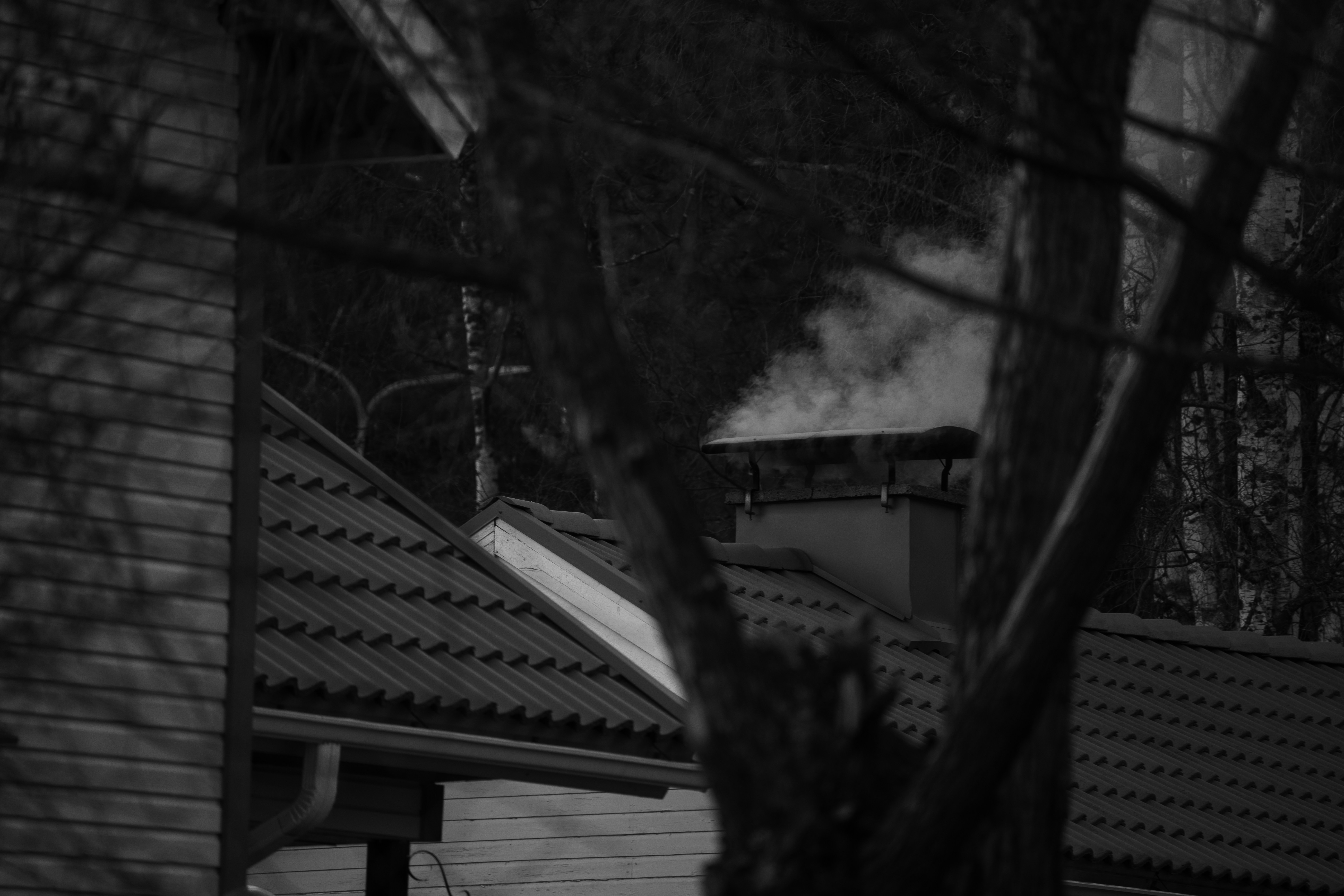 Monochrome Rooftop Vent Framed by Winter Branches